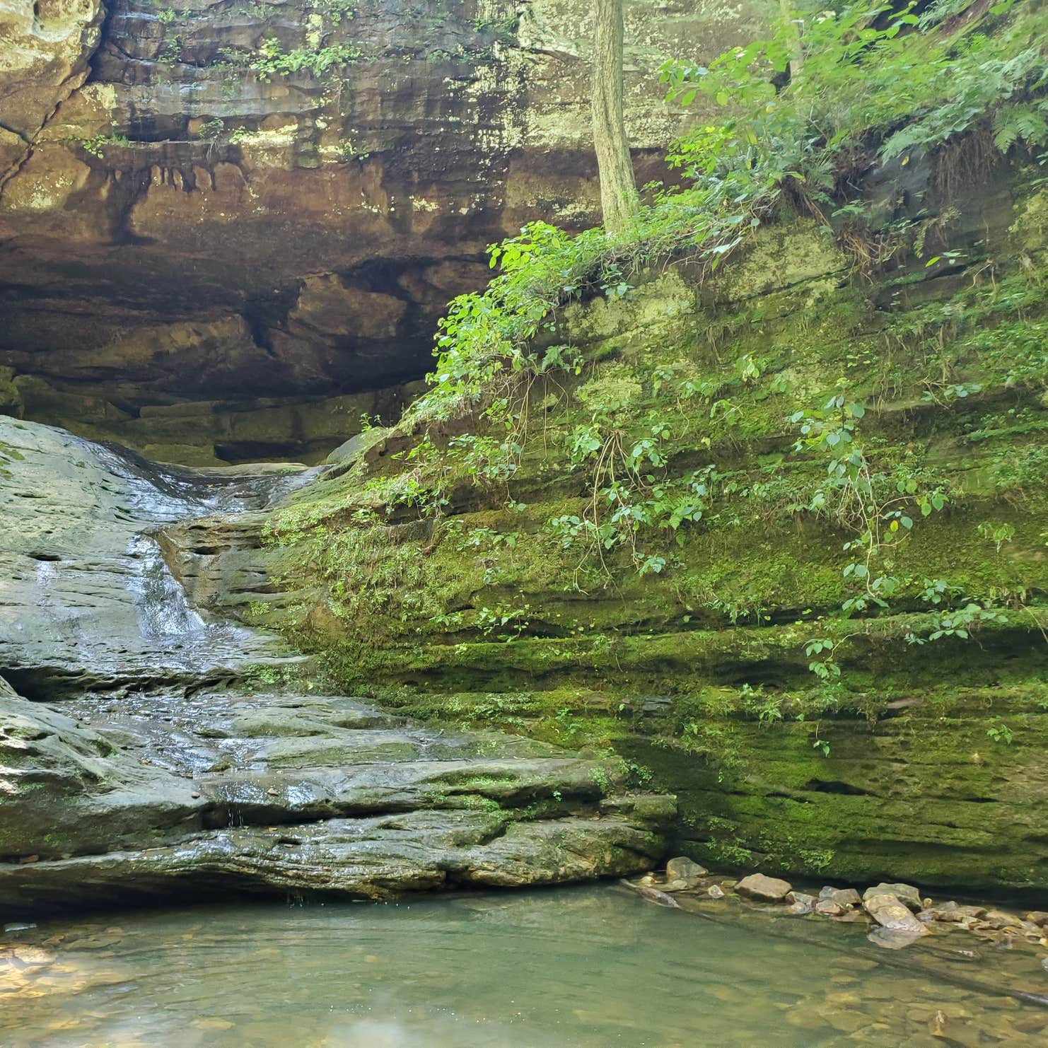 Backpack Campground — Ferne Clyffe State Park | Goreville, IL