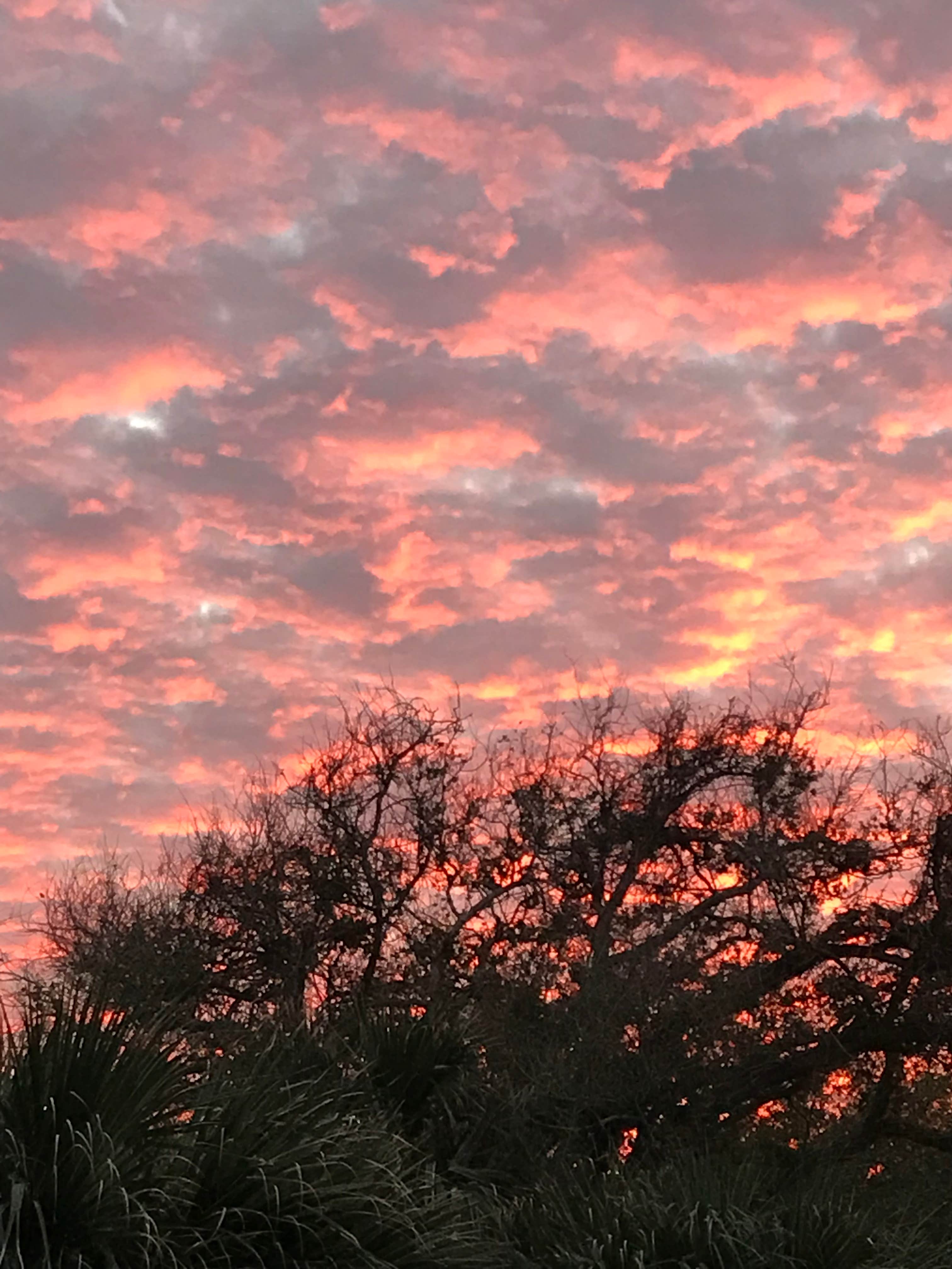 Jetty Park Campground | Cape Canaveral, FL