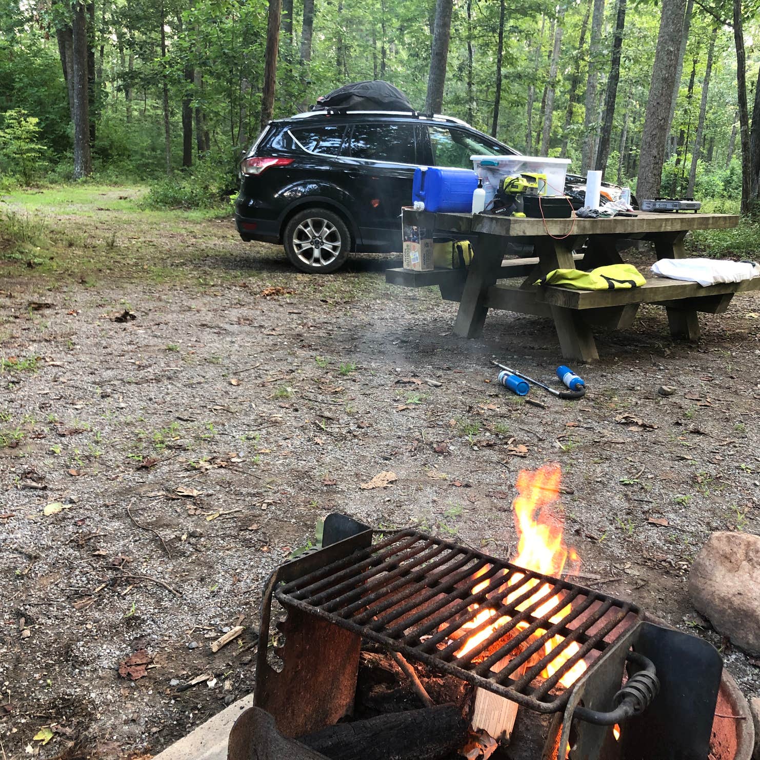 The Pines Campground | Oriskany, Virginia