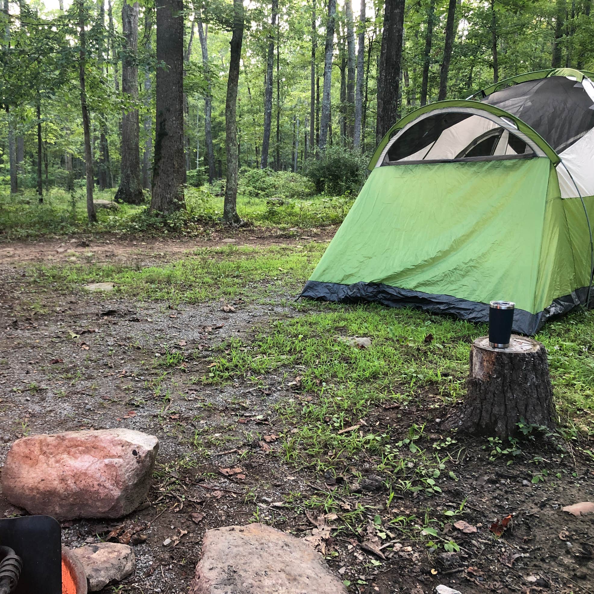 The Pines Campground | Oriskany, Virginia