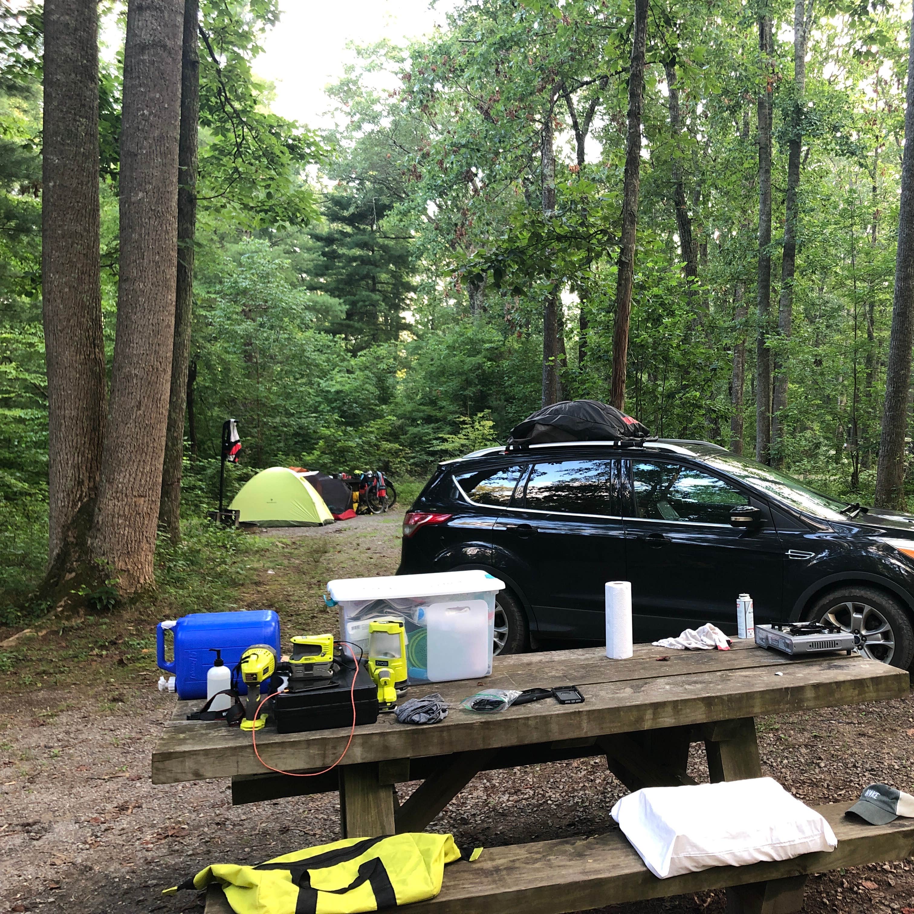 The Pines Campground | Oriskany, Virginia