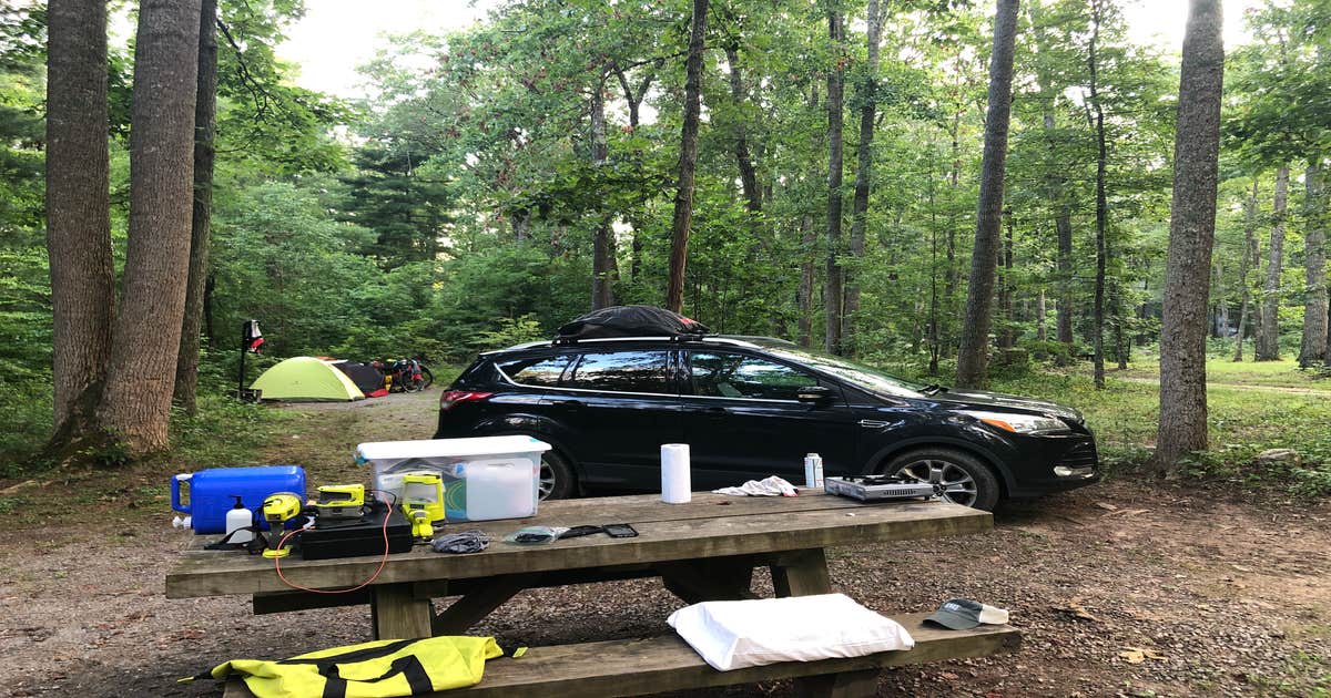 The Pines Campground | Oriskany, Virginia