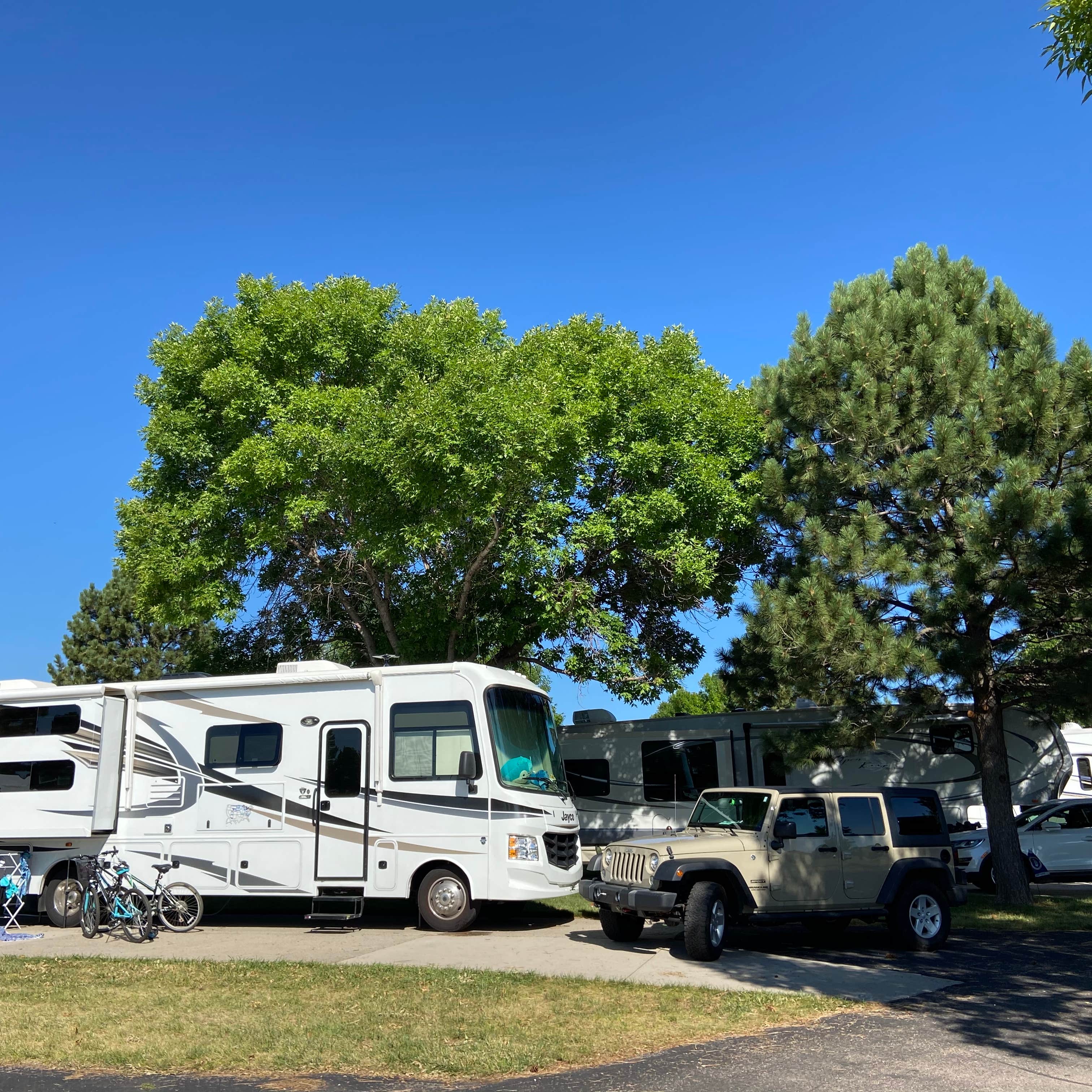 Hart Ranch RV Resort Camping | The Dyrt