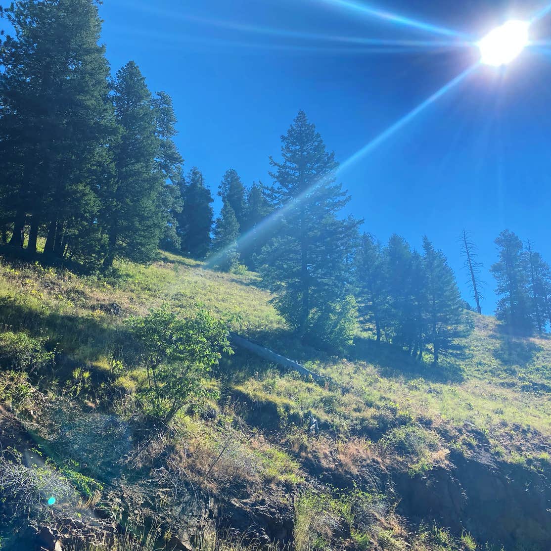 Blackhorse Campground | Imnaha, OR