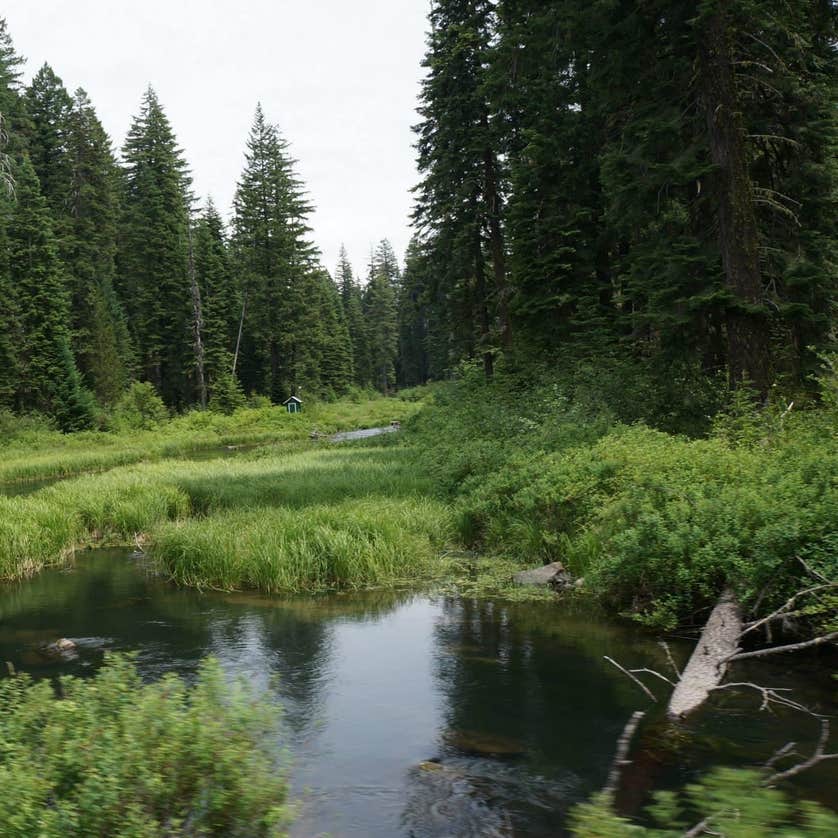 Jackson County Howard Prairie Lake Resort Camping | Ashland, Oregon