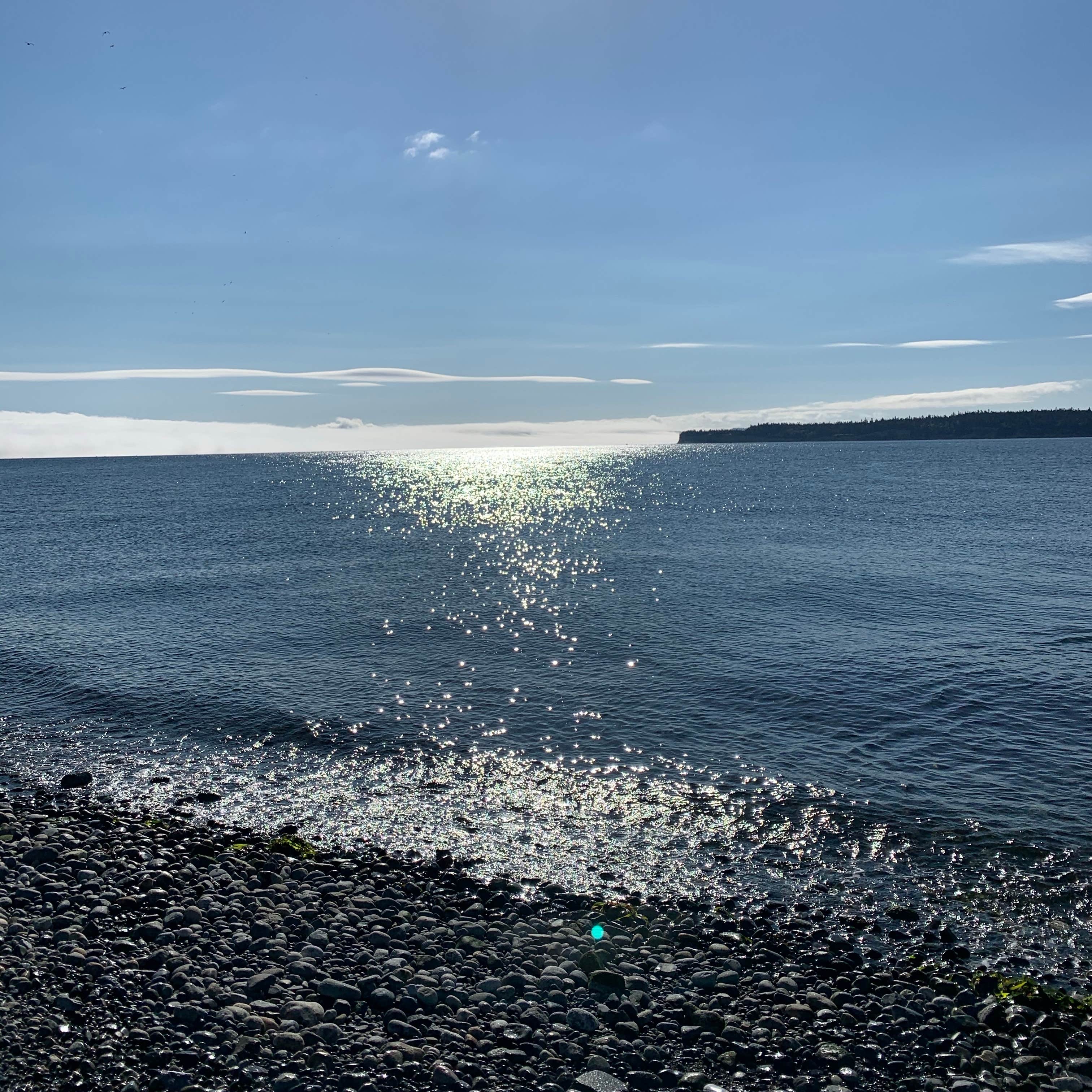 Point Hudson Marina & RV Park Camping | The Dyrt