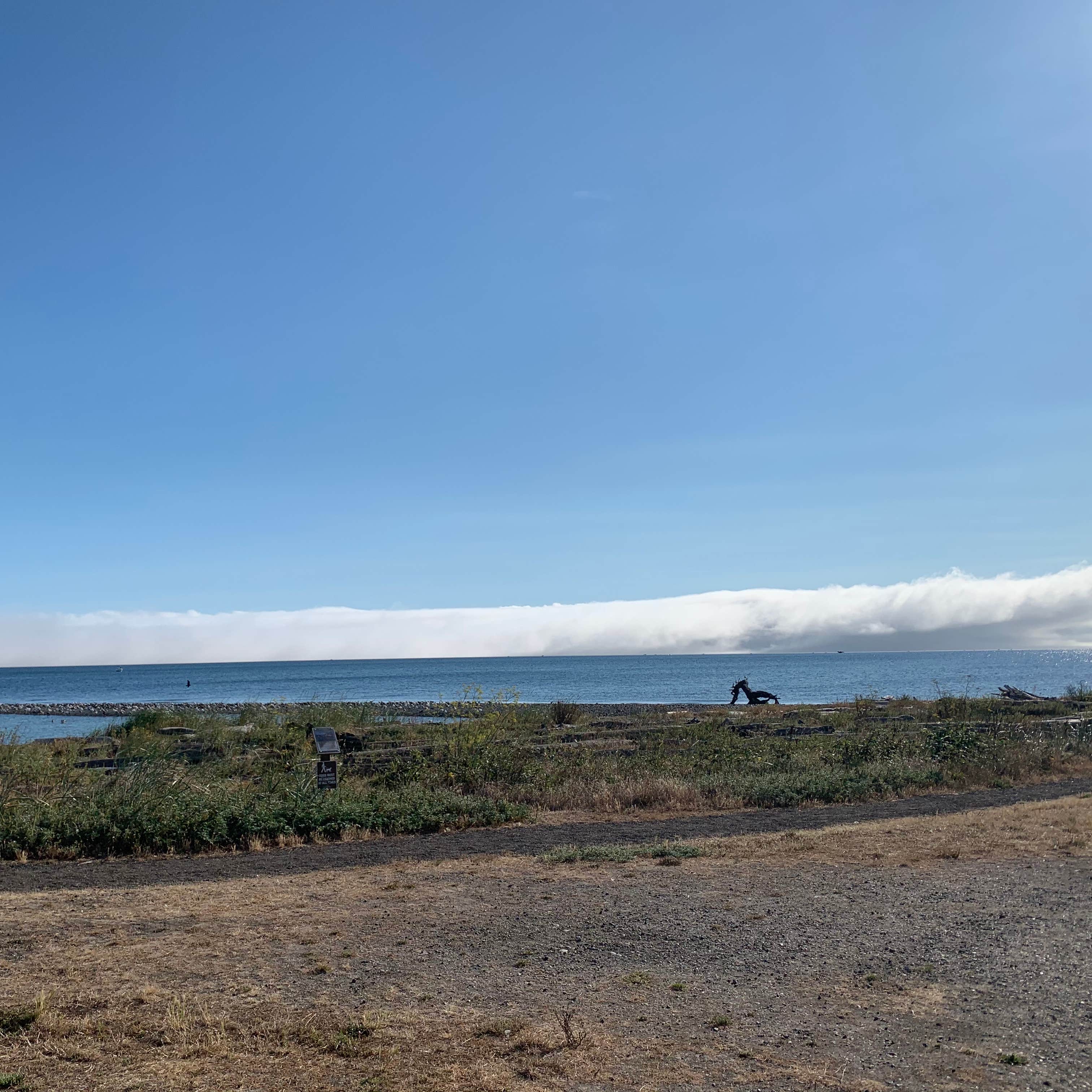 Point Hudson Marina & RV Park Camping | The Dyrt