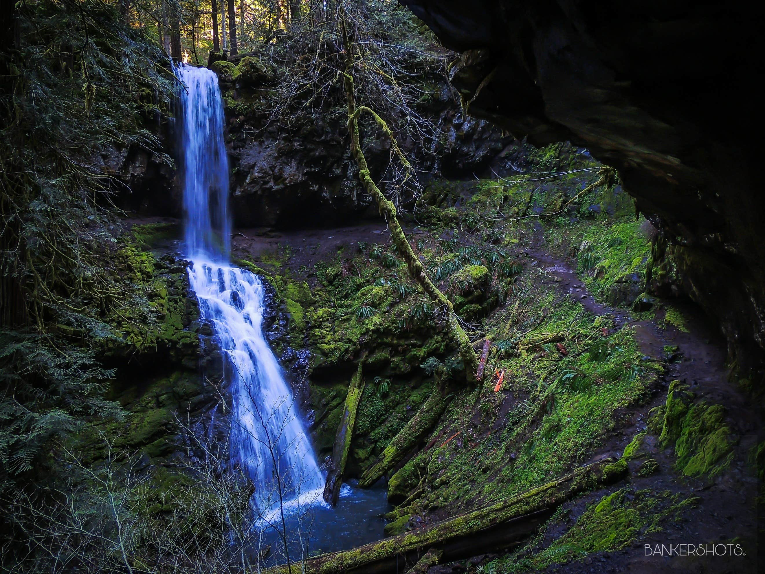 Mineral Forest Camp | Dorena, Oregon