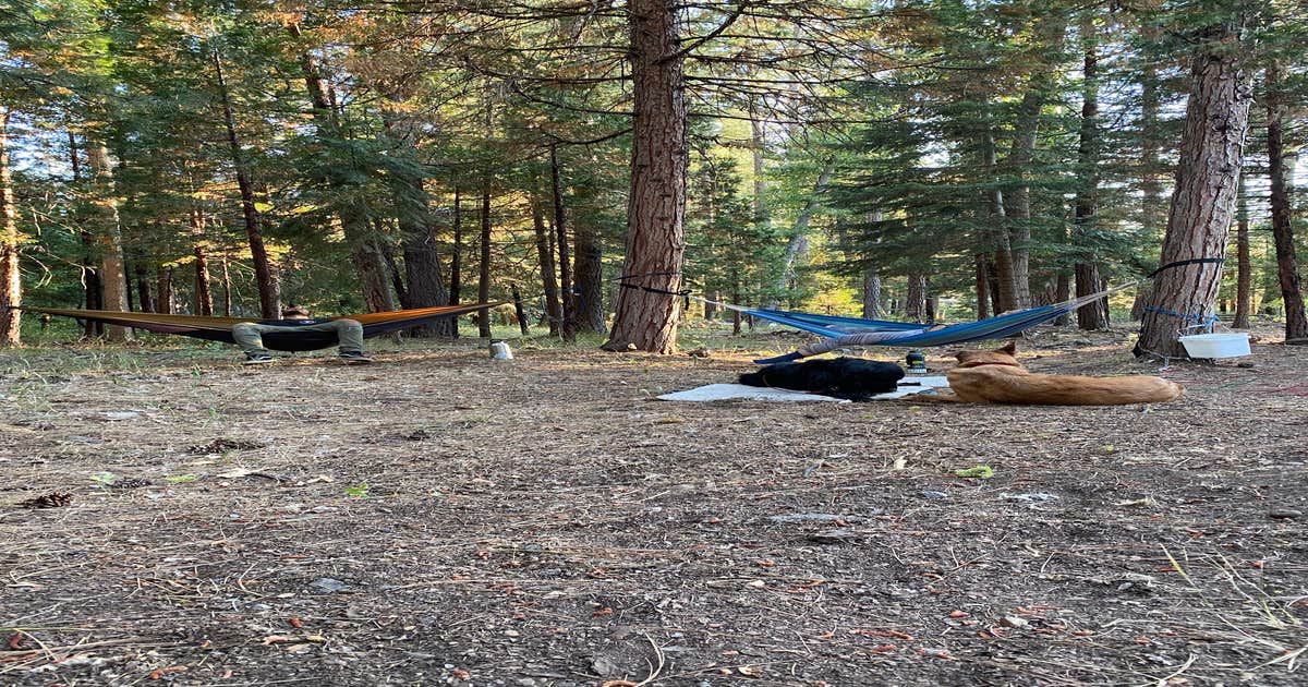 Lower Rush Creek Campground Camping | The Dyrt