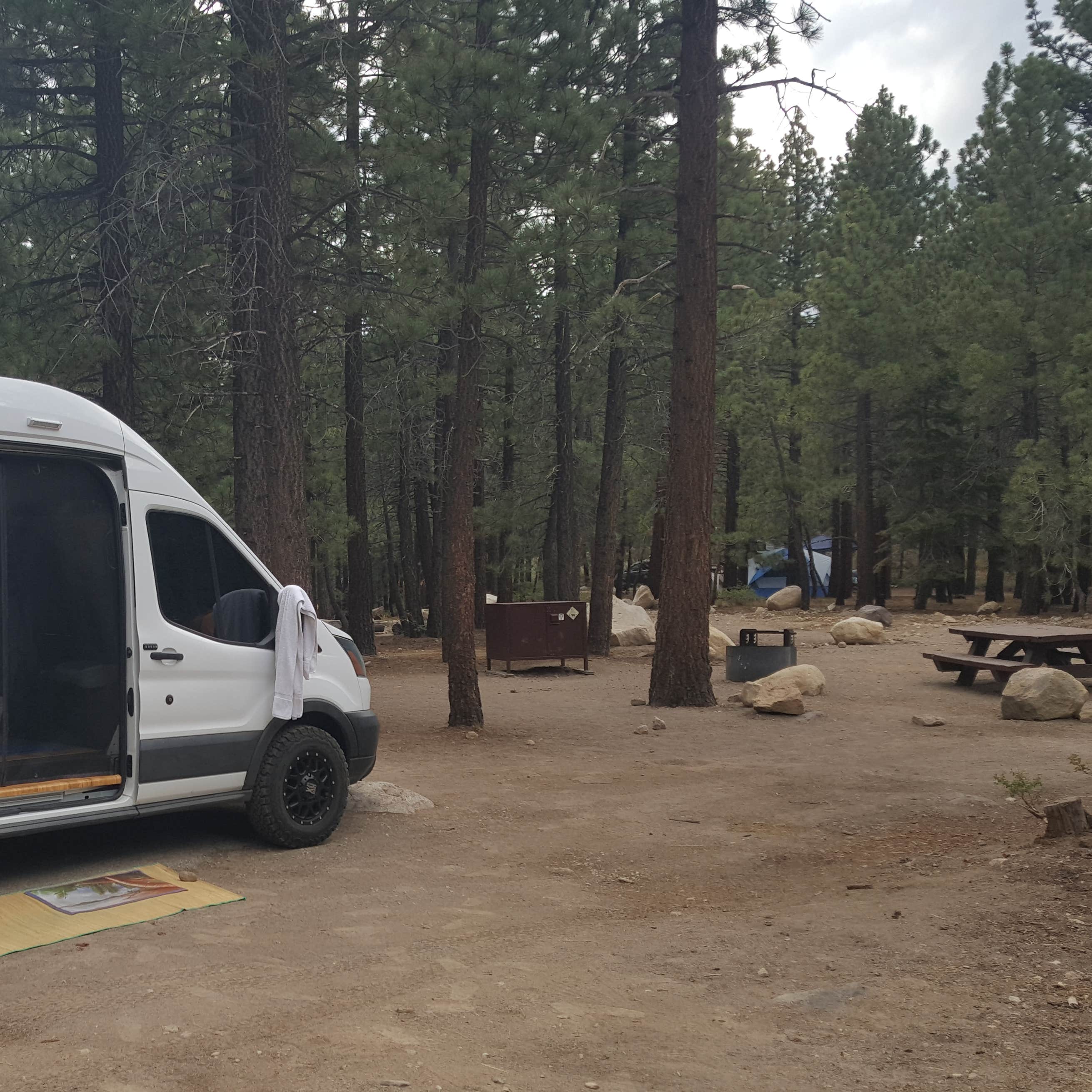 New Shady Rest Campground | Mammoth Lakes, California
