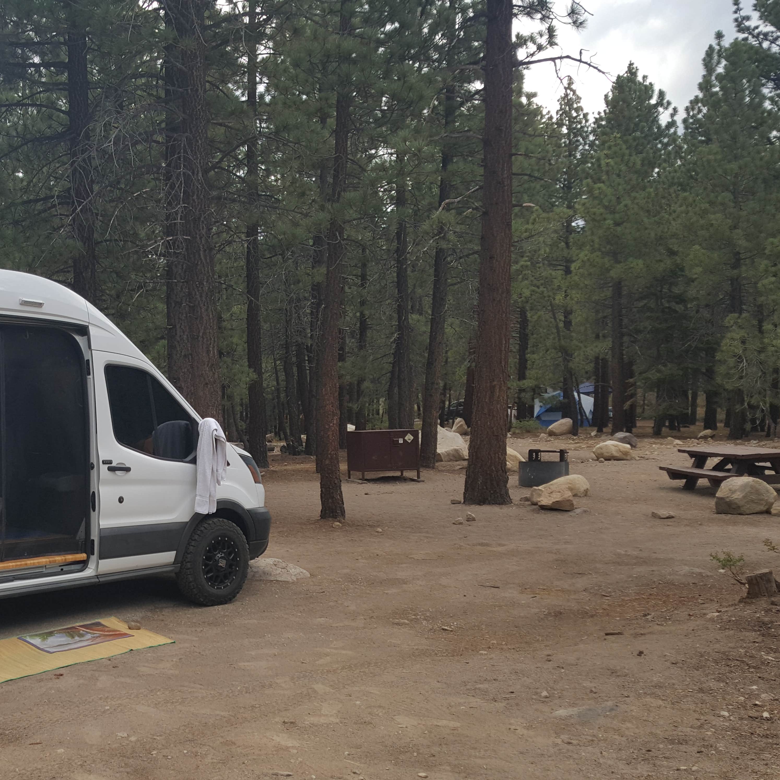 New Shady Rest Campground | Mammoth Lakes, California