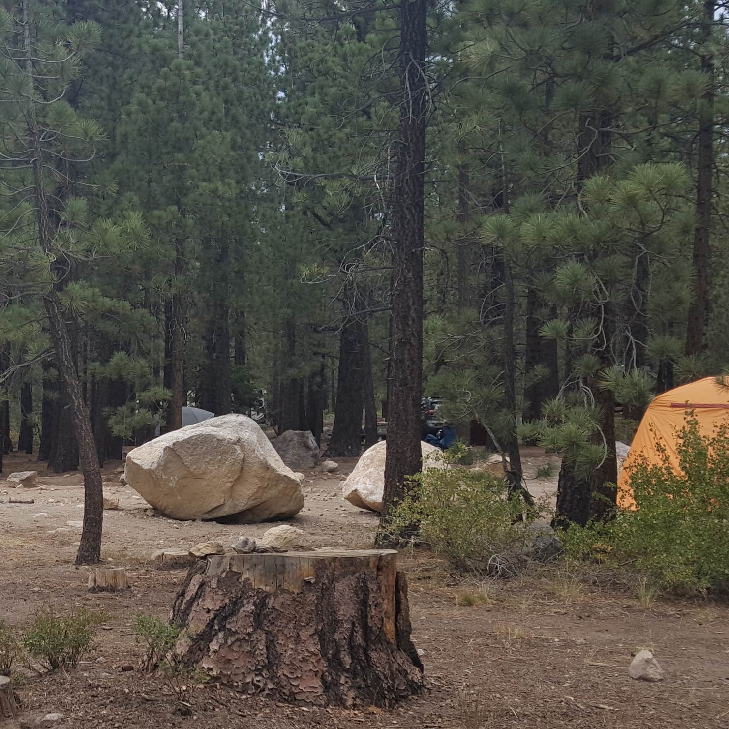 New Shady Rest Campground | Mammoth Lakes, California
