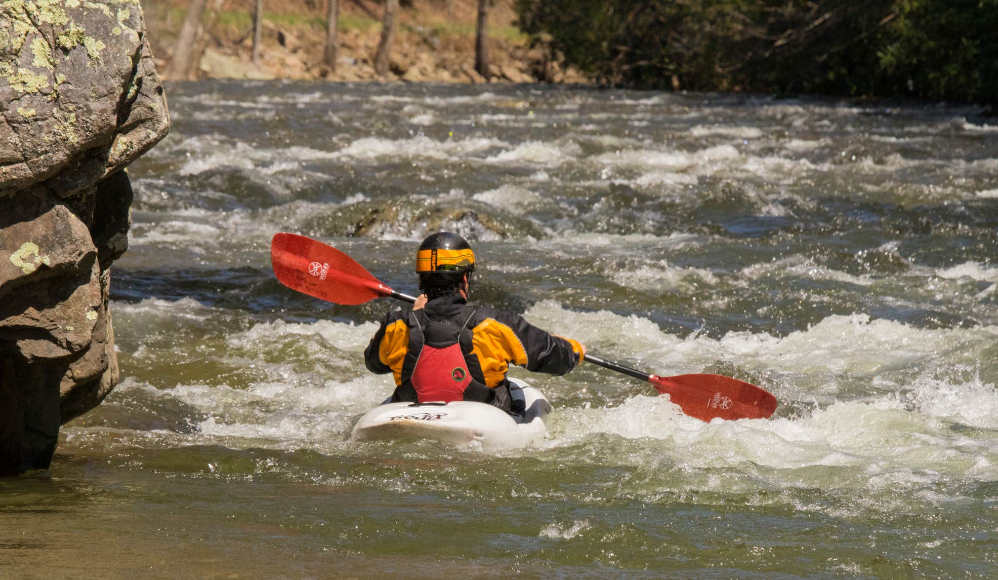 Mount Rogers National Recreation Area Camping | The Dyrt