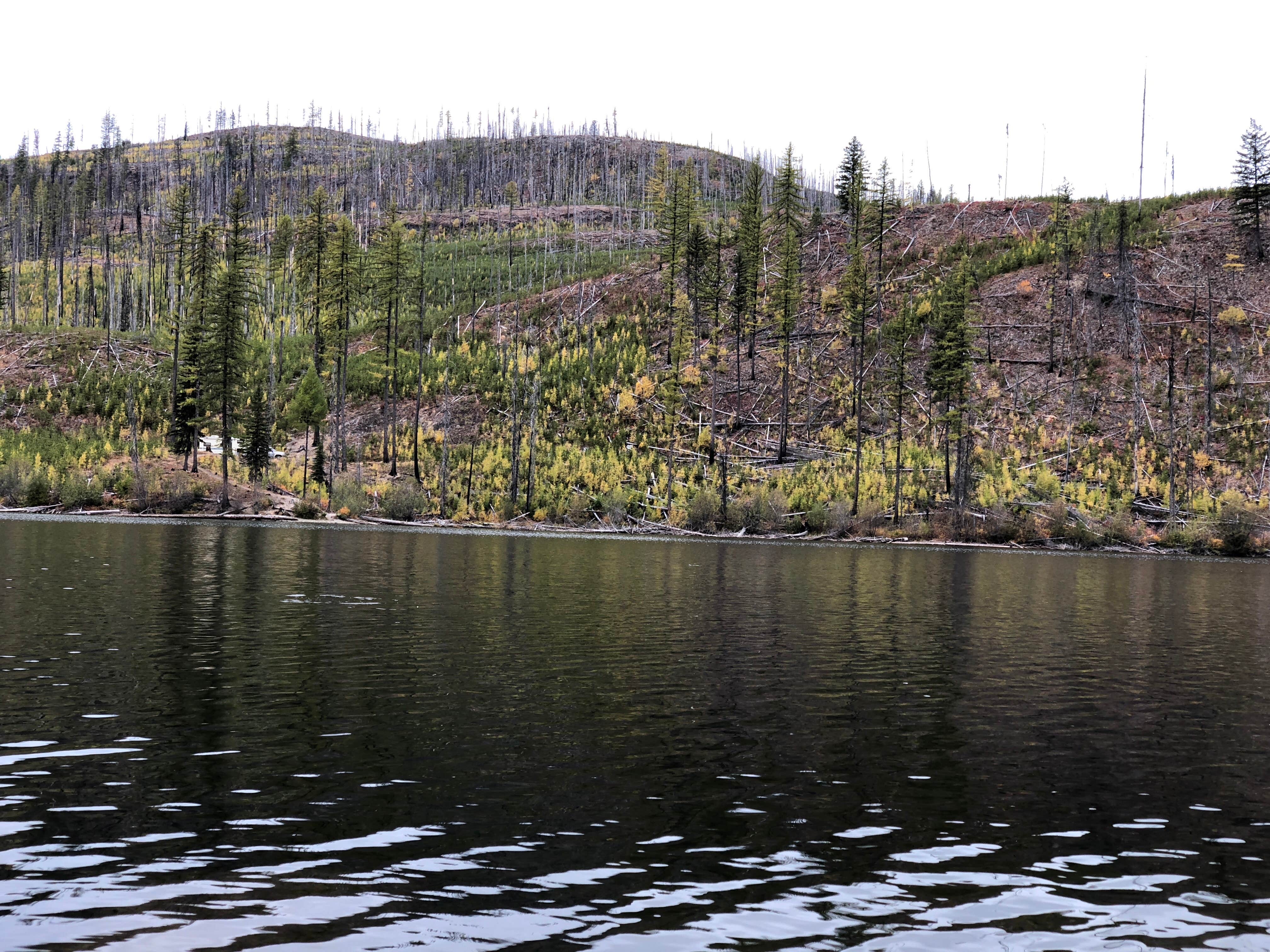Sylvia Lake Campground | Olney, MT