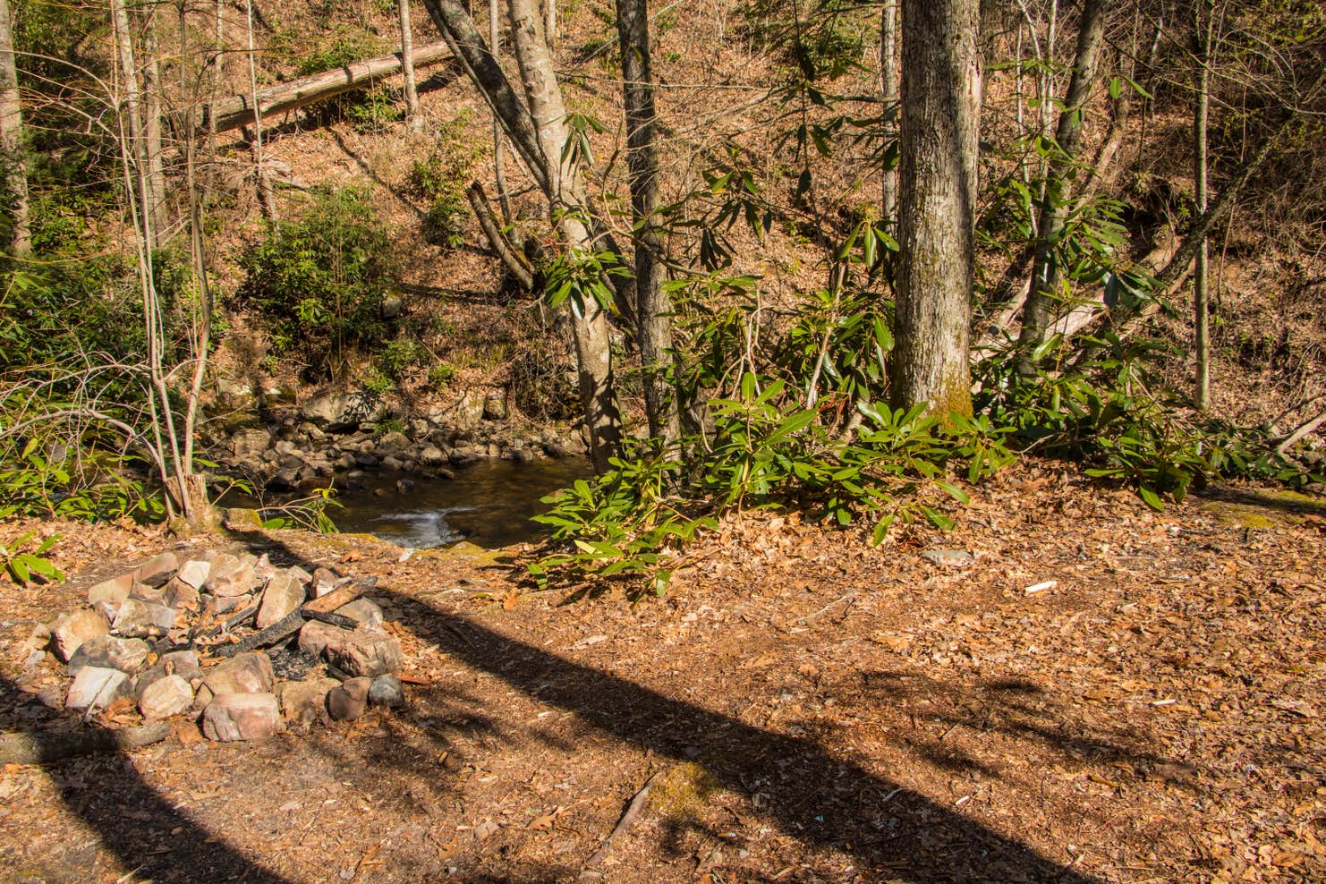 Mount Rogers National Recreation Area Camping | The Dyrt