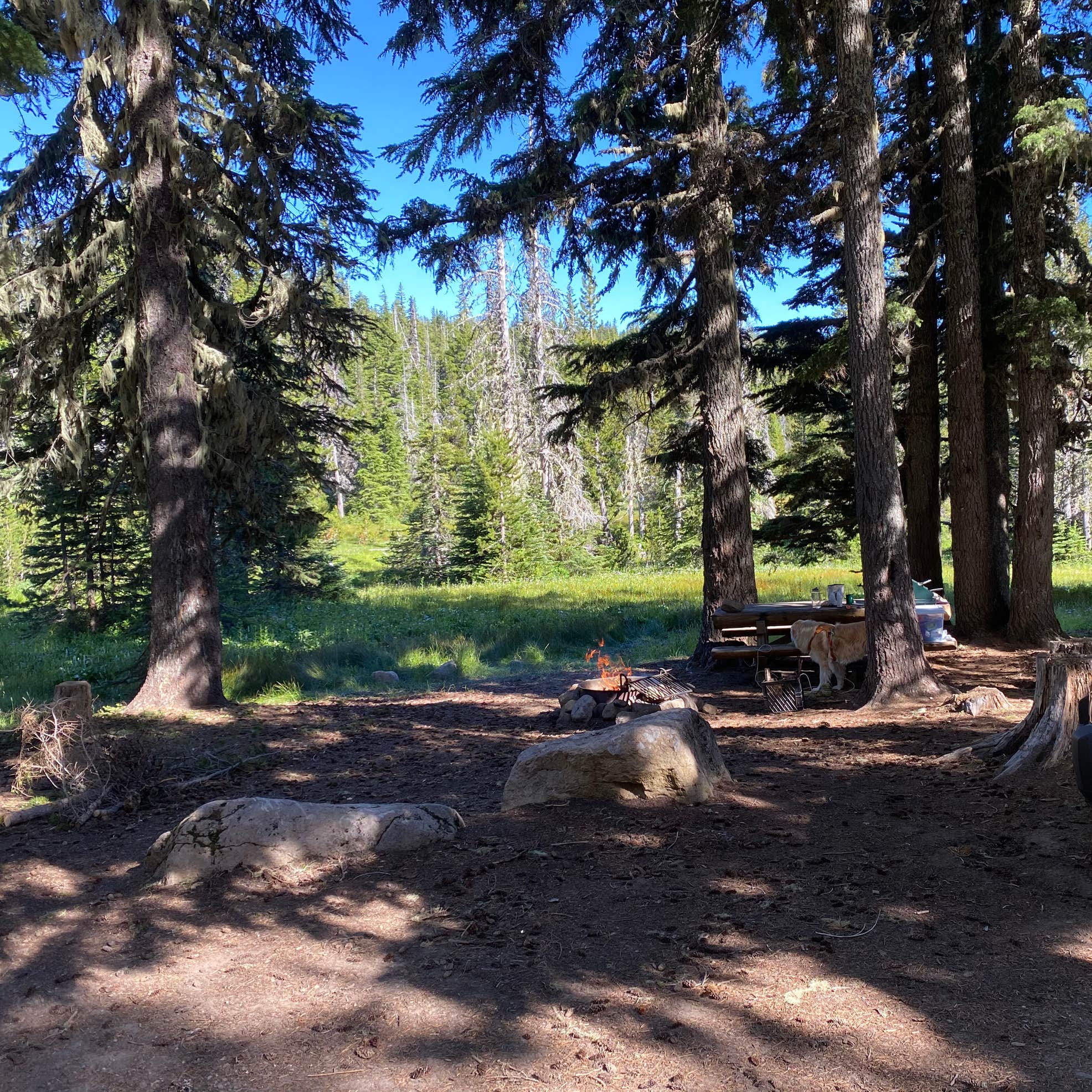 Bonney Meadows Camping | Government Camp, Oregon