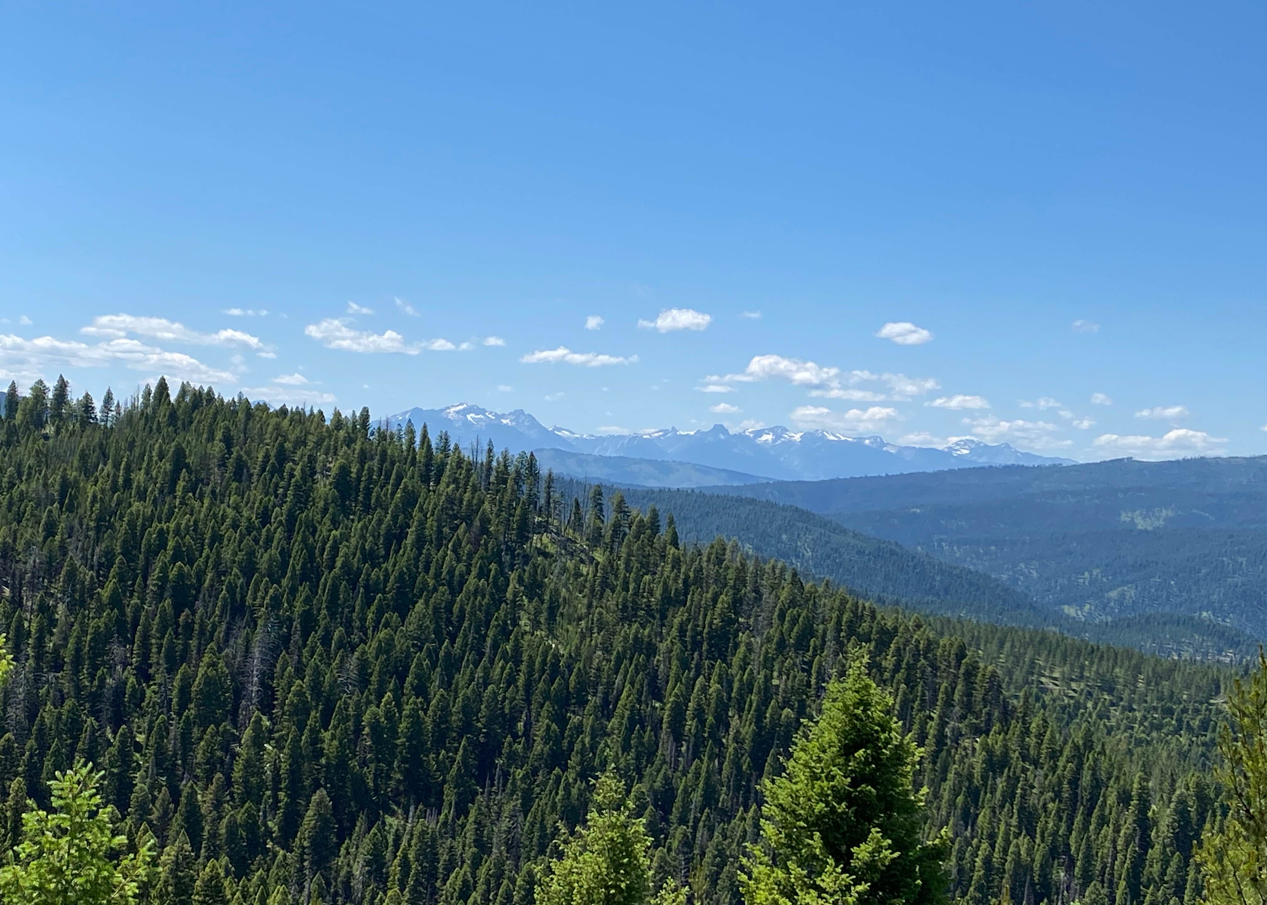 Martin Creek Camping | The Dyrt