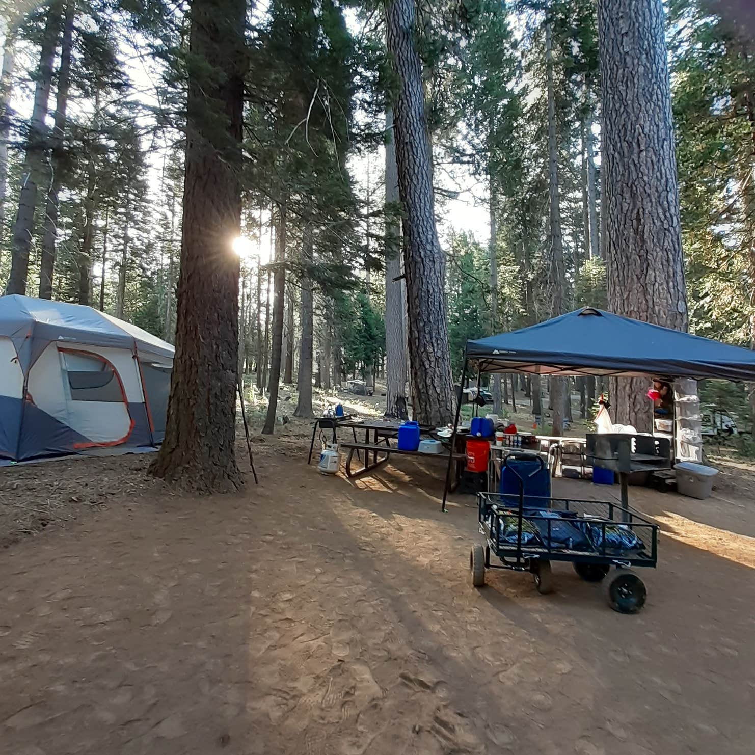 Stumpy Meadows Camping | Georgetown, CA