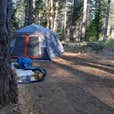 Stumpy Meadows Camping | Pollock Pines, California