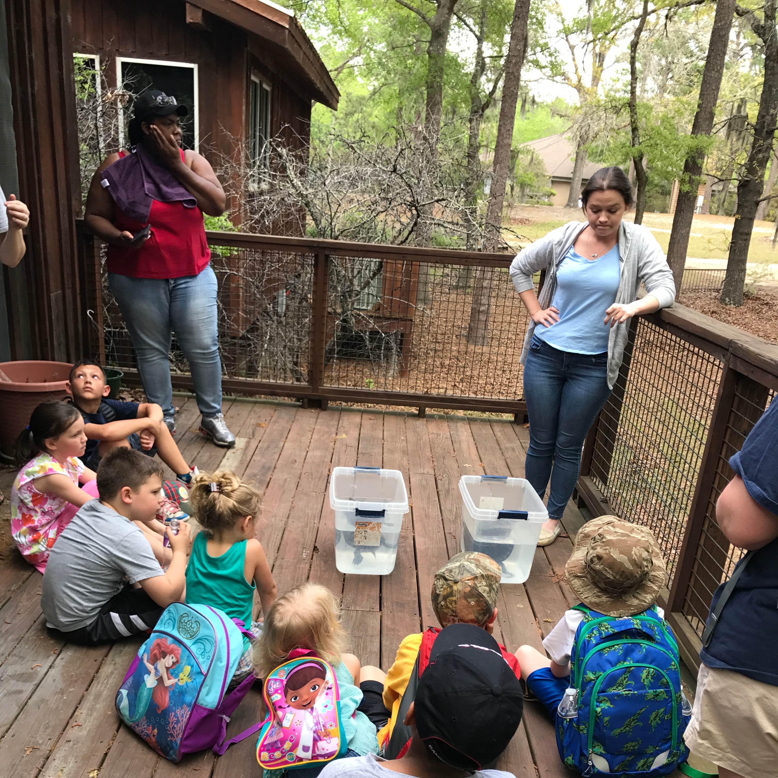 Lynches River County Park Camping | The Dyrt