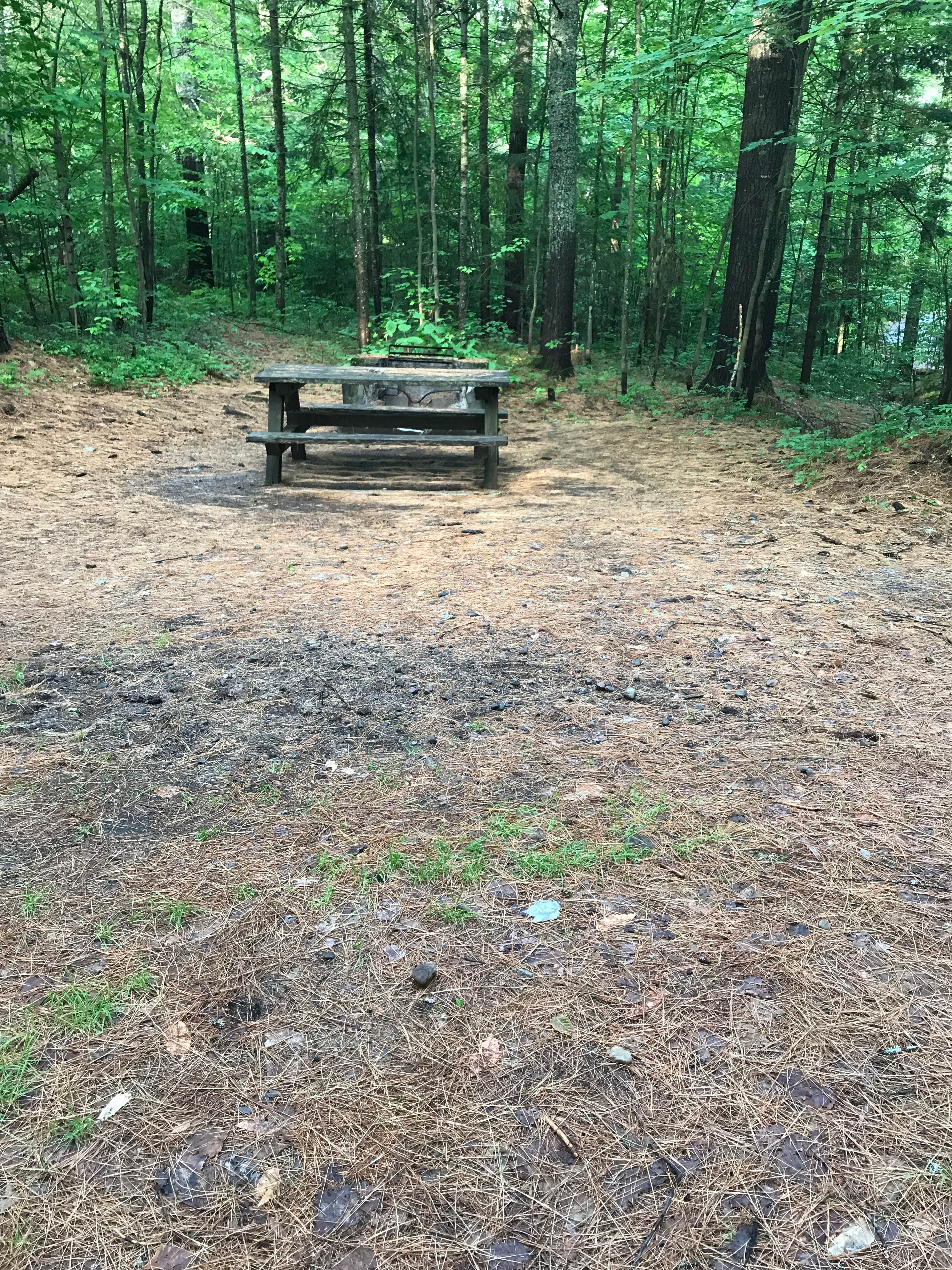 Buck Pond Campground | Onchiota, New York