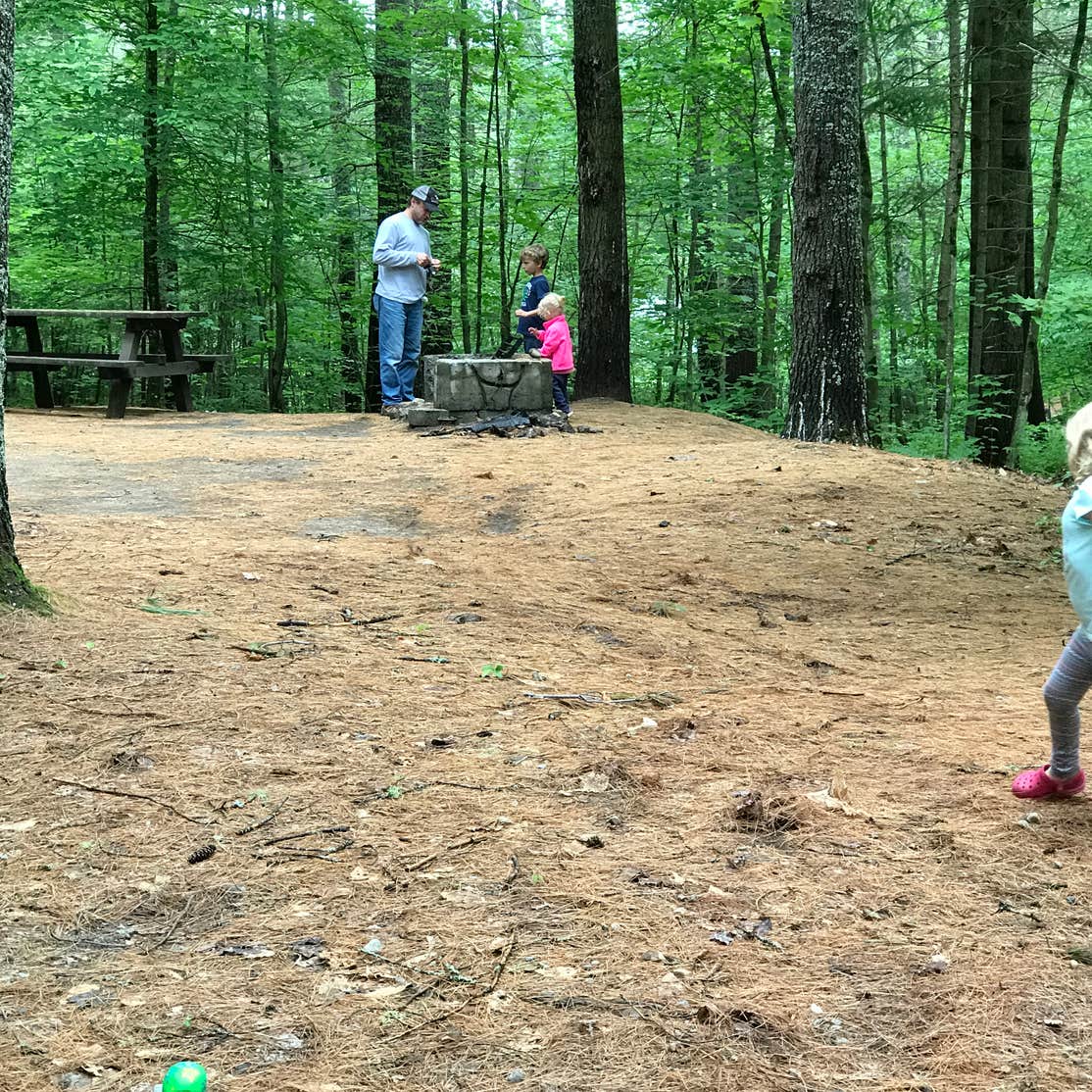 Buck Pond Adirondack Preserve Camping | Vermontville, NY