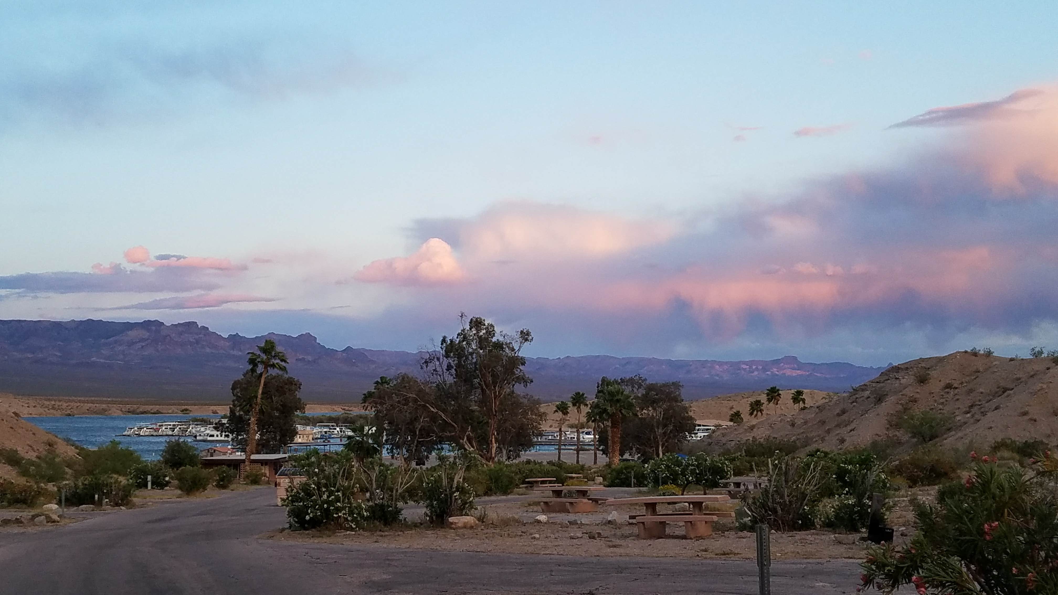 Cottonwood Cove Campground — Lake Mead National Recreation Area ...