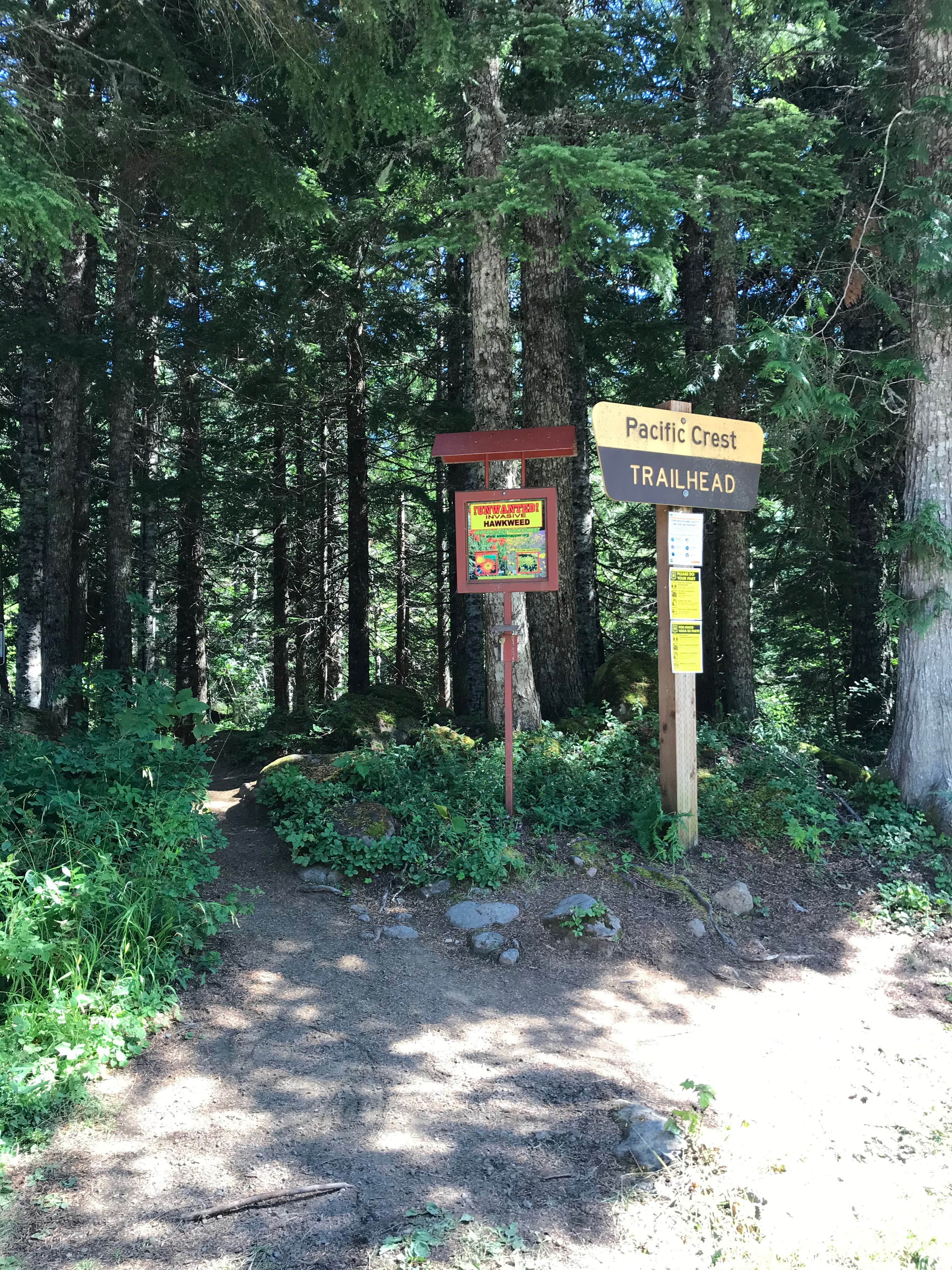 McNeil Point Dispersed Camping | Government Camp, Oregon