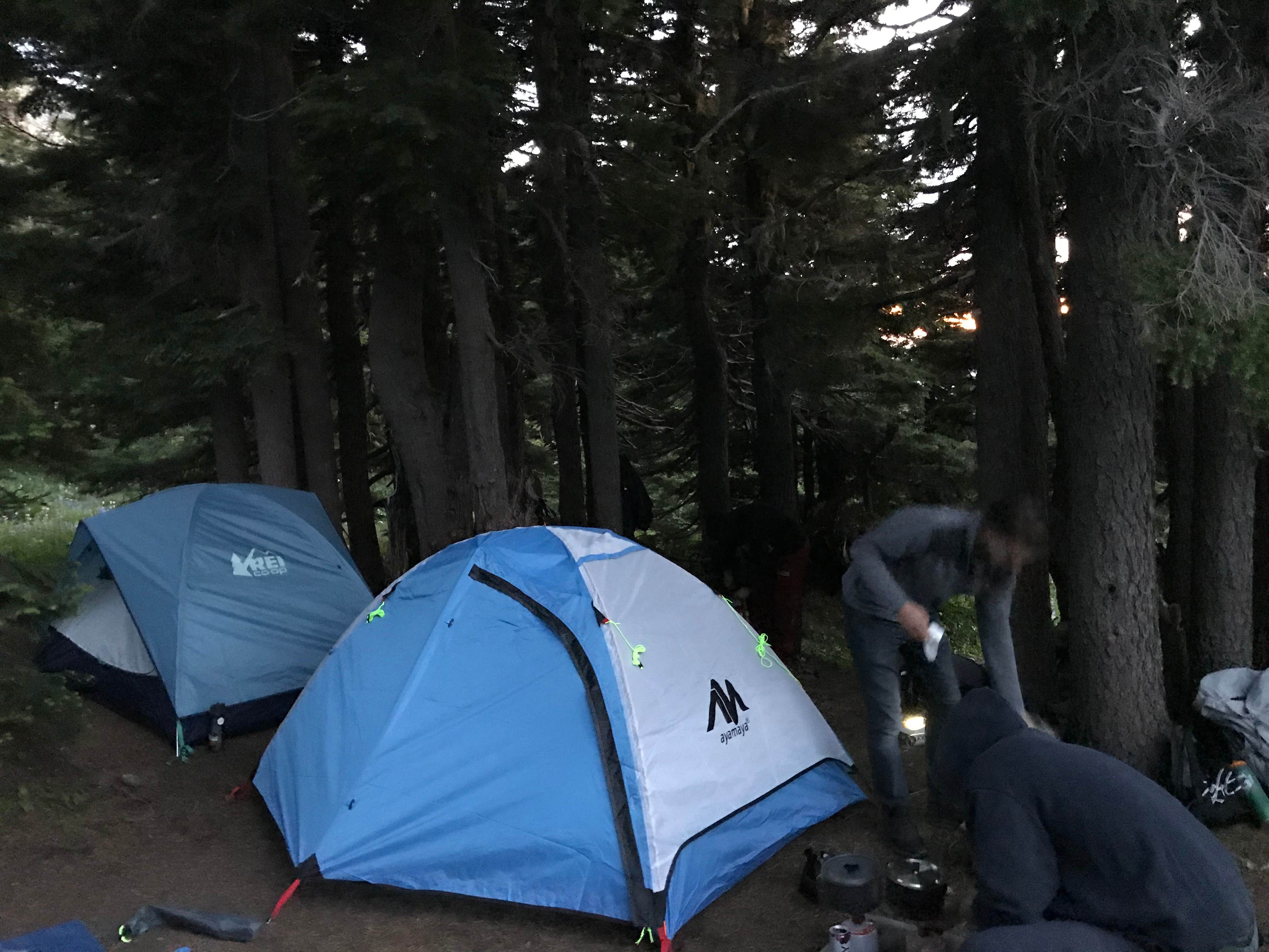 McNeil Point Dispersed Camping | Government Camp, OR