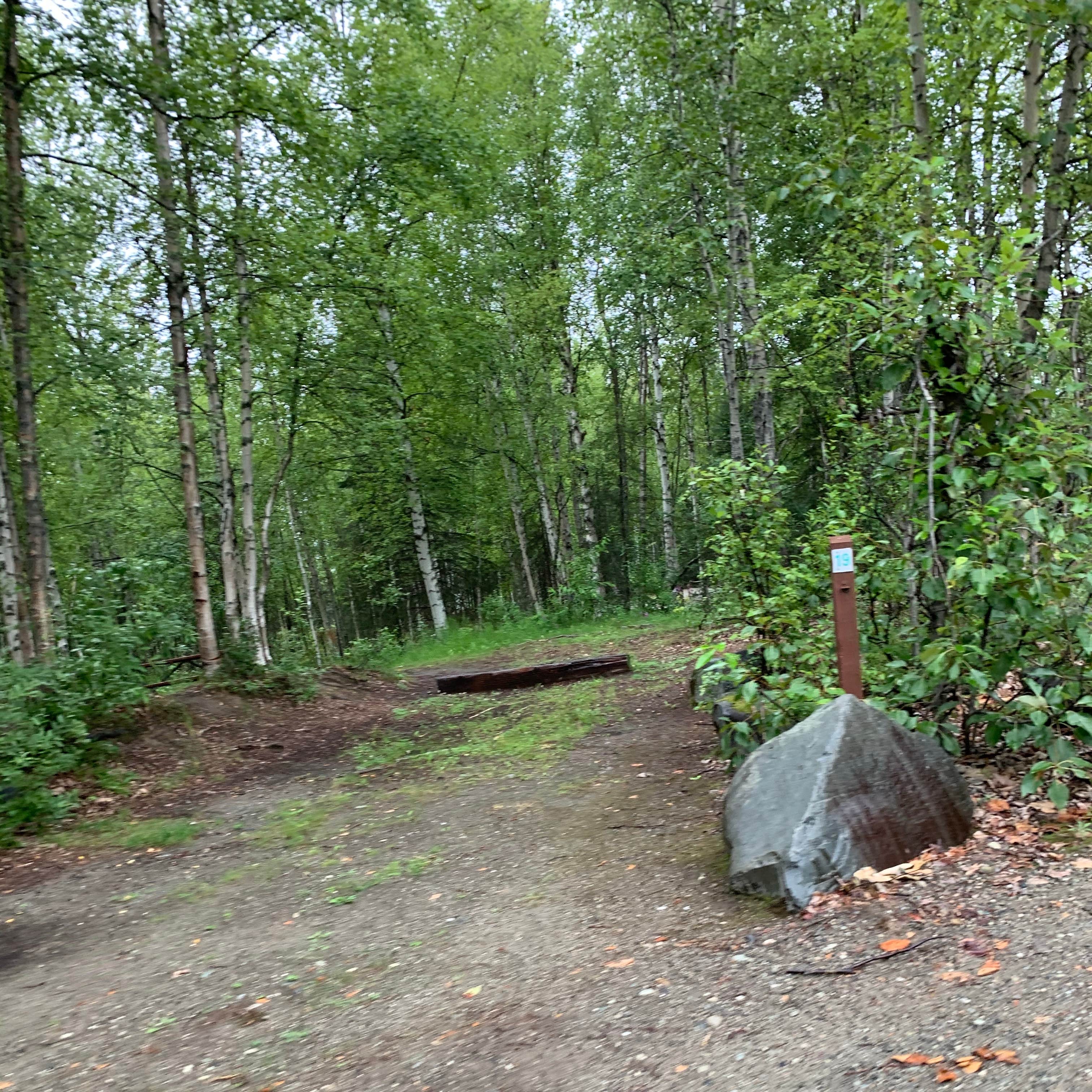 Nancy Lake State Recreation Site Camping | The Dyrt