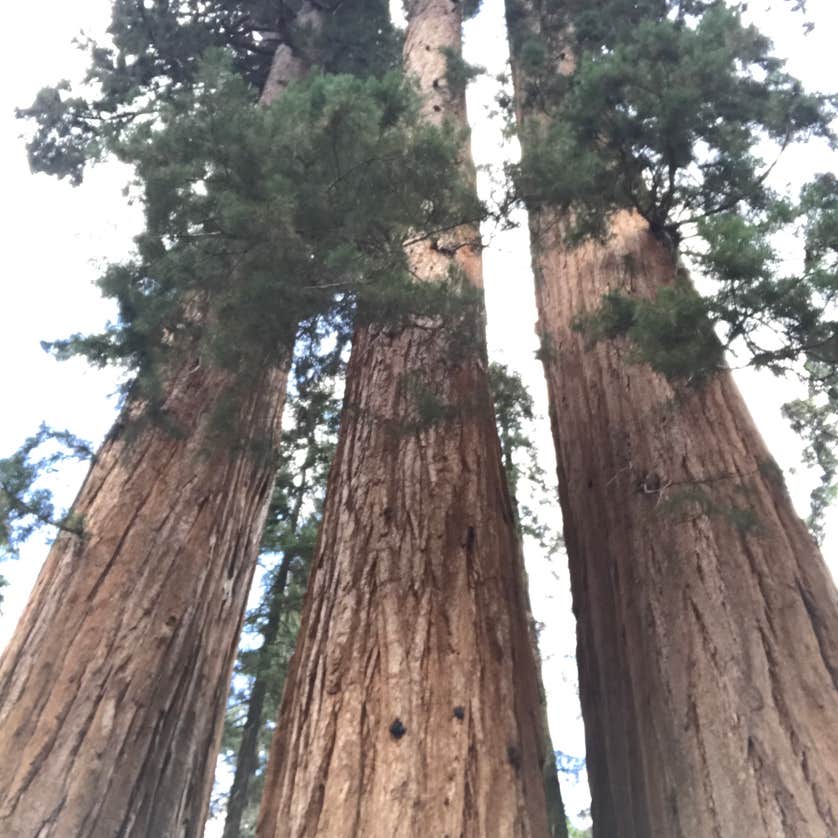 Sierra National Forest Catavee Campground | Lakeshore, California