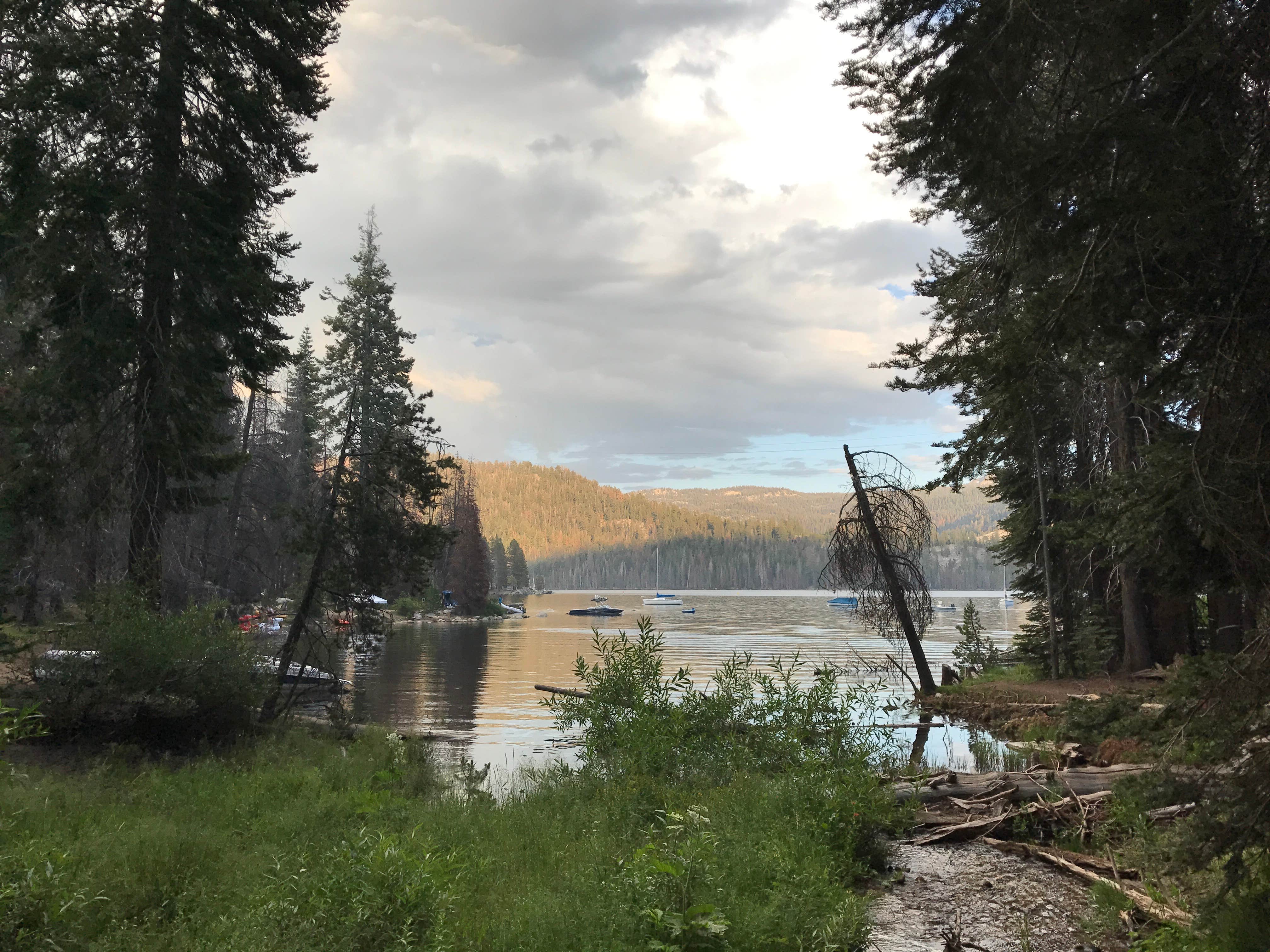 Sample Meadow Campground | The Dyrt