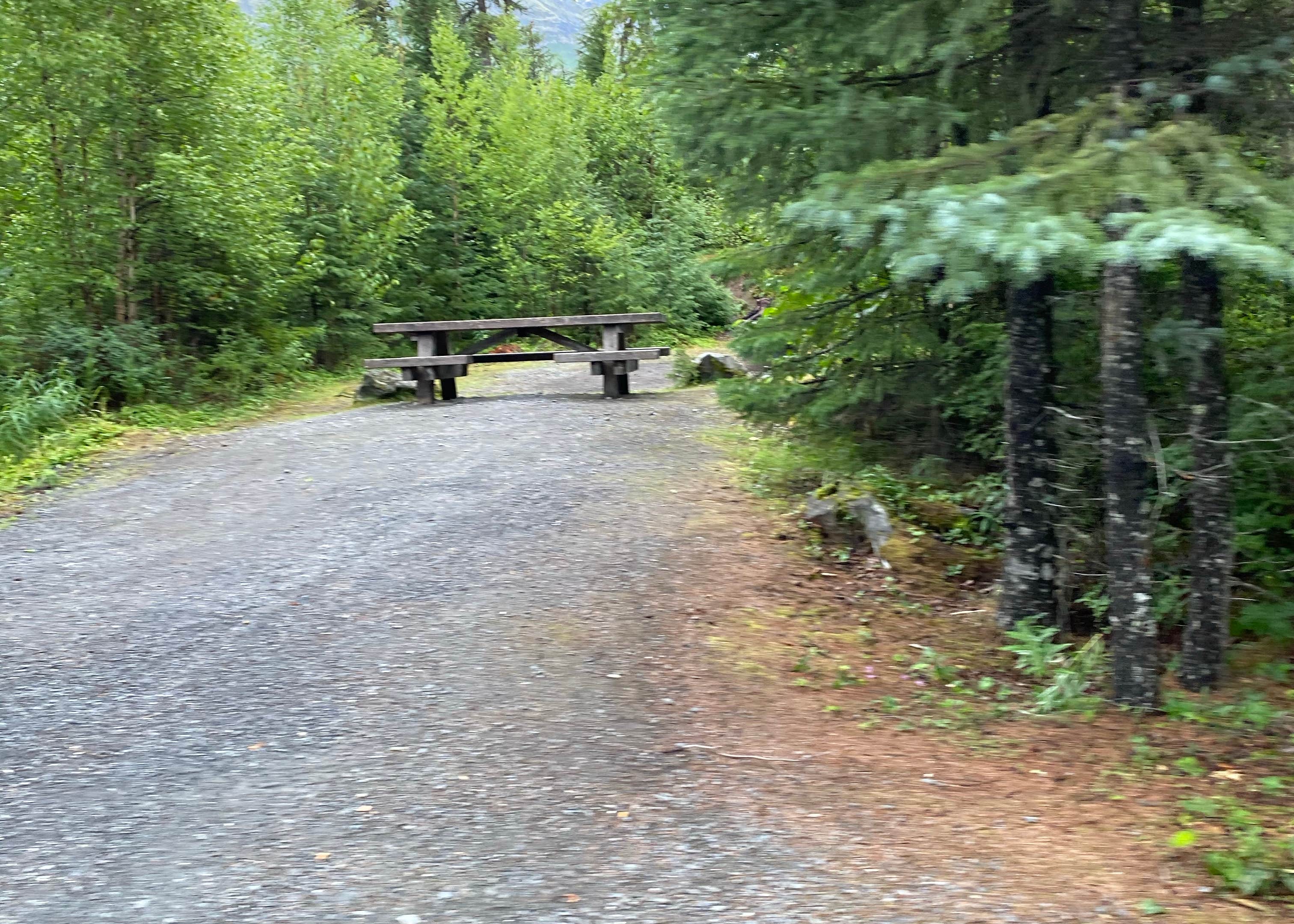 Chugach National Forest Ptarmigan Campground Camping | The Dyrt