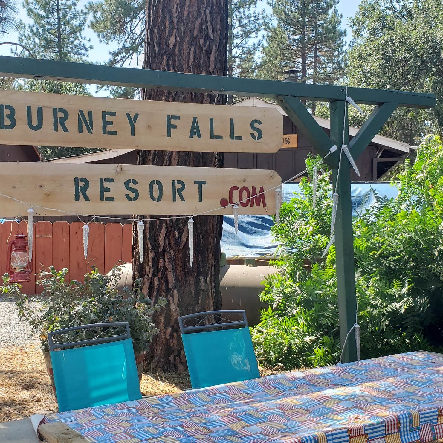 Burney Falls Resort Camping | Cassel, California