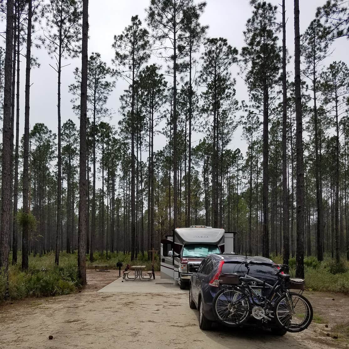 Cary State Forest Campground | Bryceville, Florida