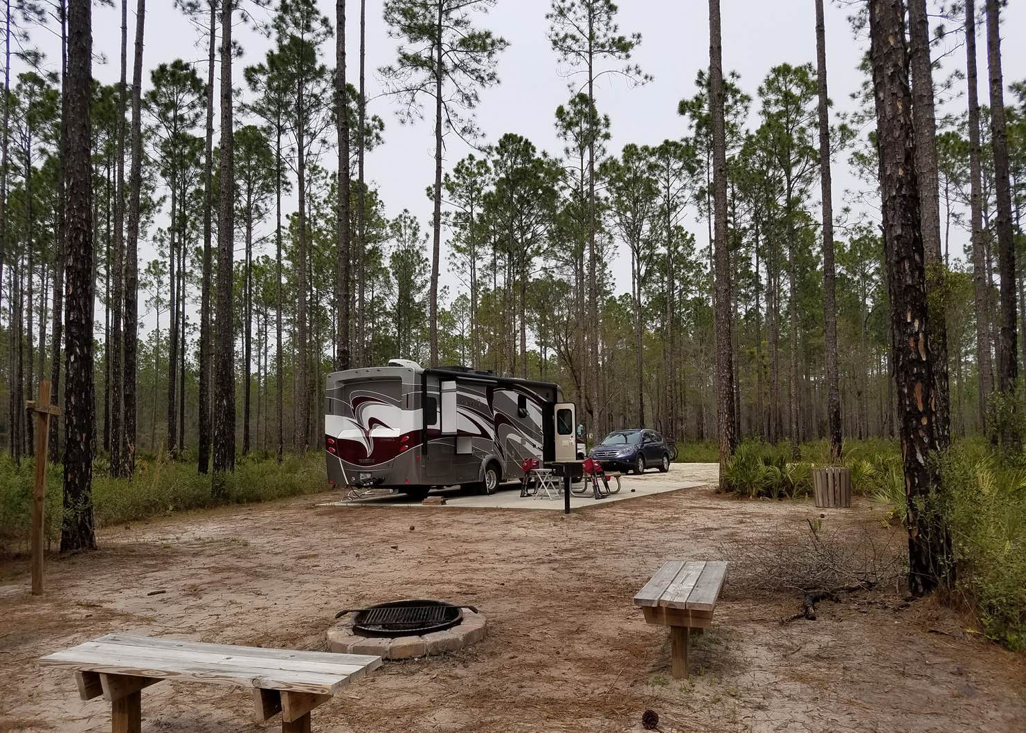 Cary State Forest Camping | The Dyrt