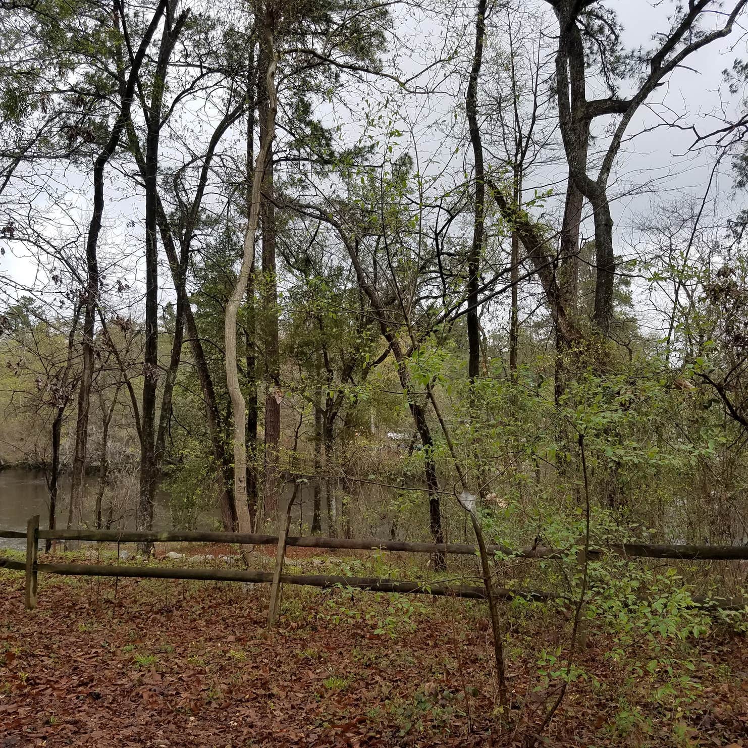 Colleton State Park Campground | Canadys, South Carolina