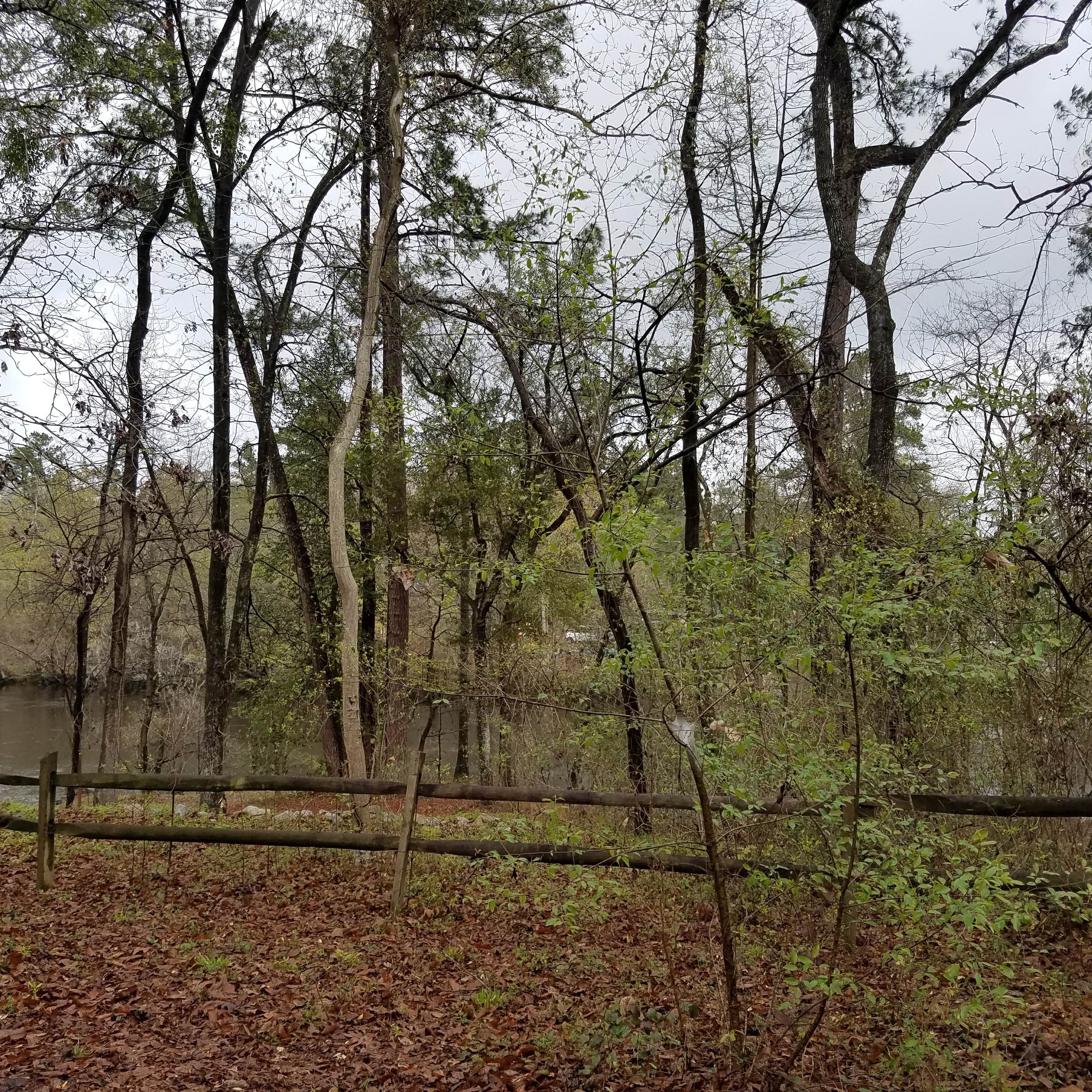 Colleton State Park Campground | Canadys, South Carolina