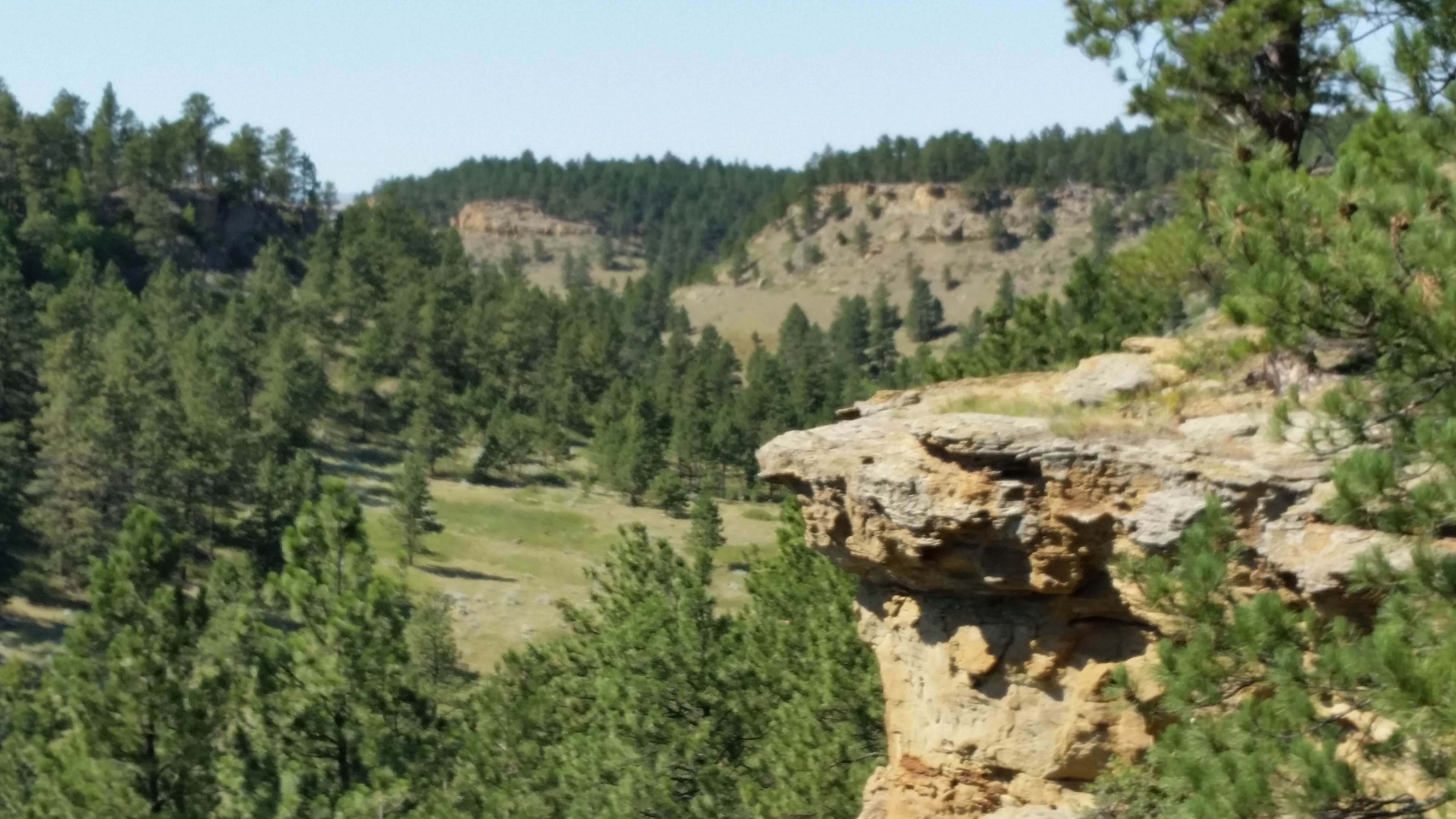 Picnic Spring Campground | Reva, MT