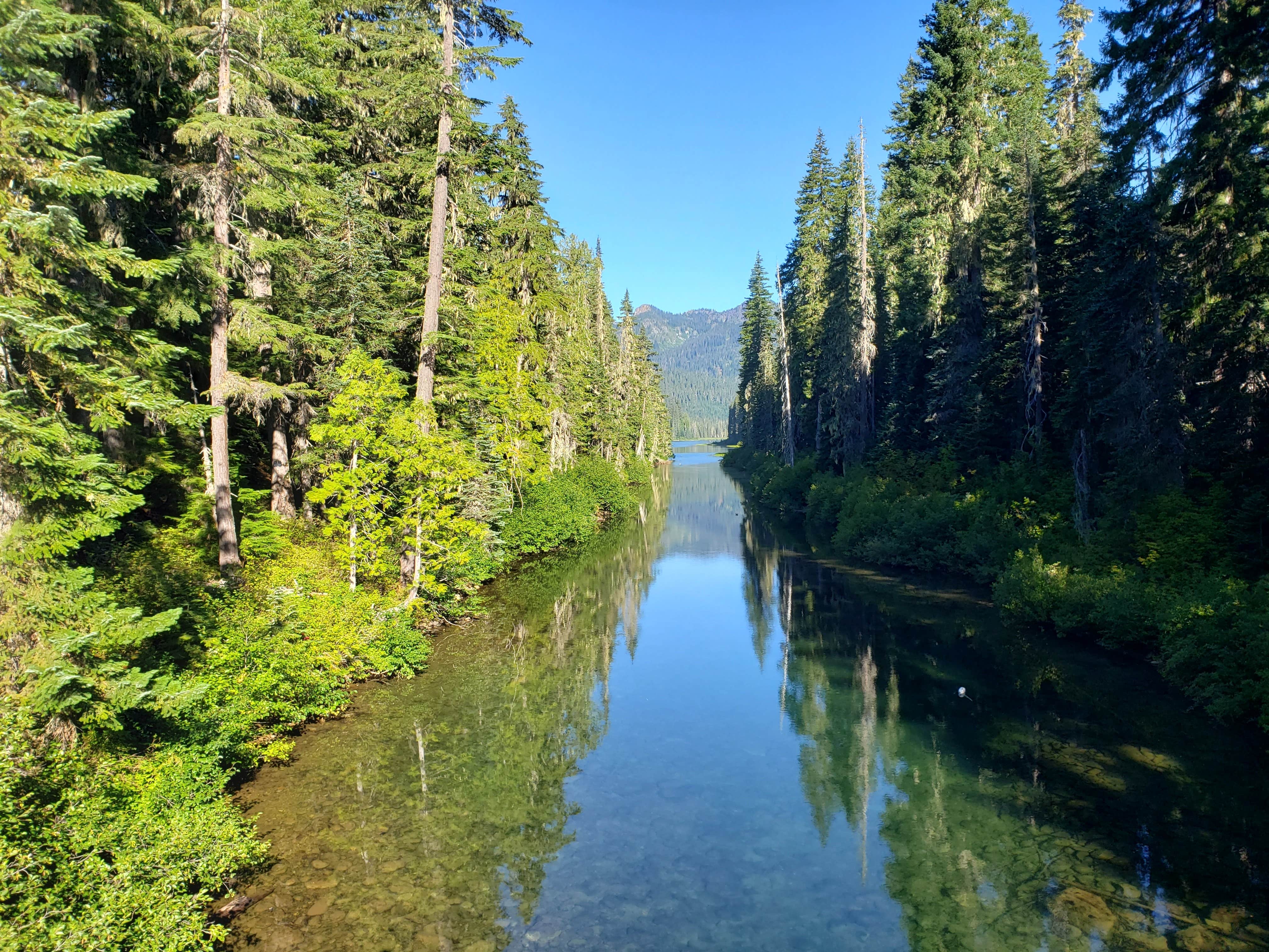 Owhi Campground | The Dyrt