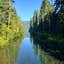 Owhi Campground | Snoqualmie Pass, Washington