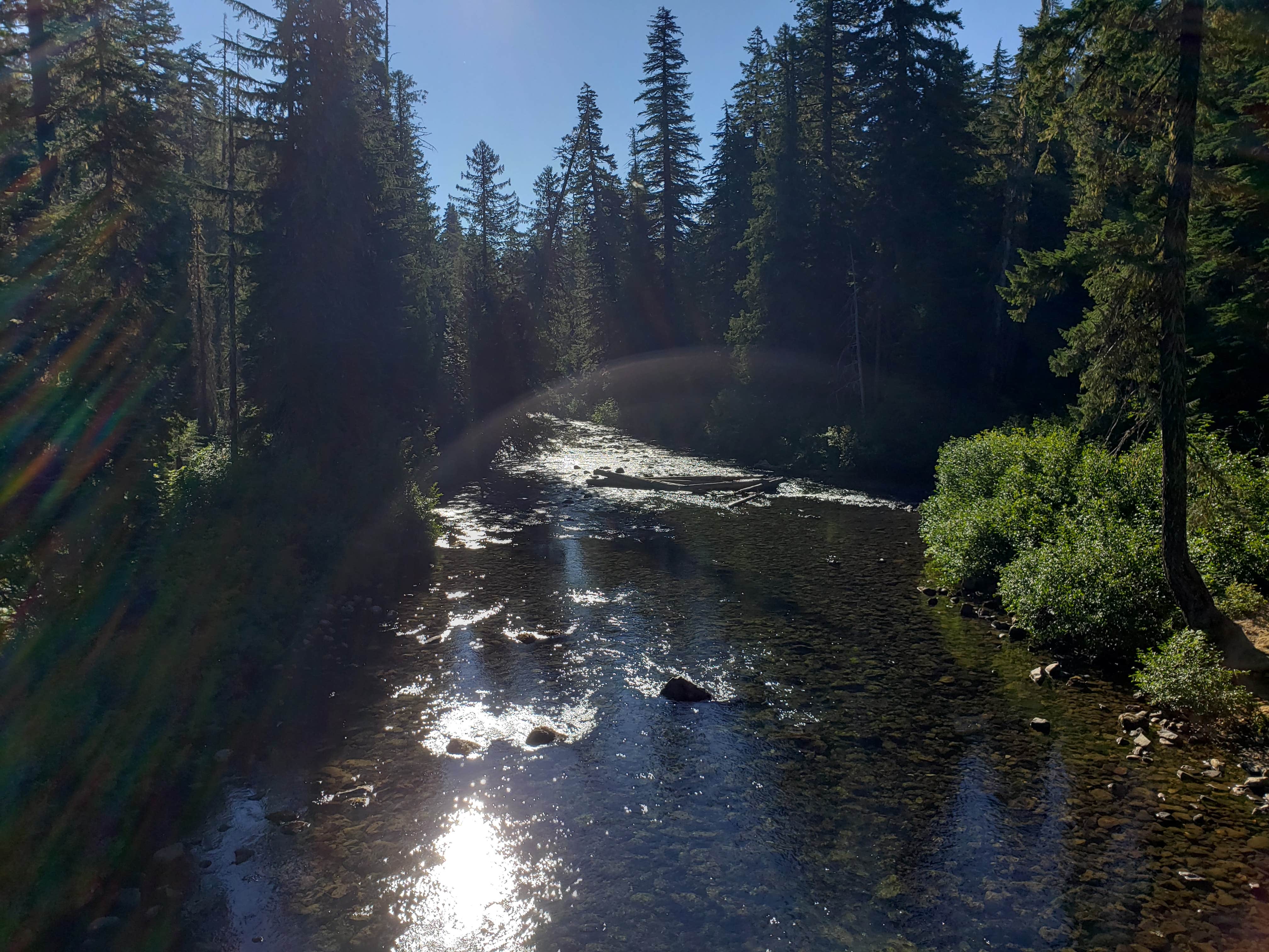 Owhi Campground | The Dyrt