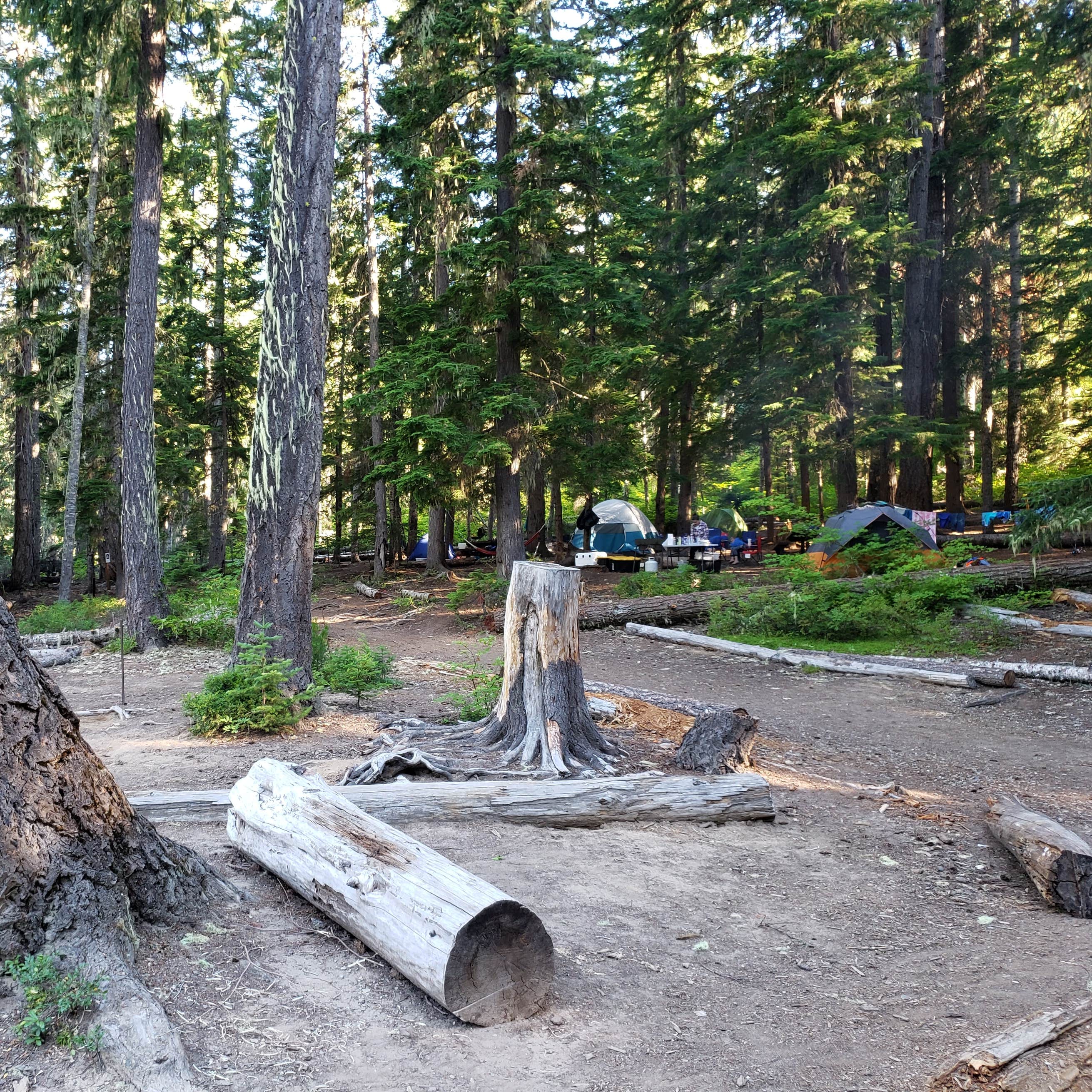 Owhi Campground | Cle Elum, WA