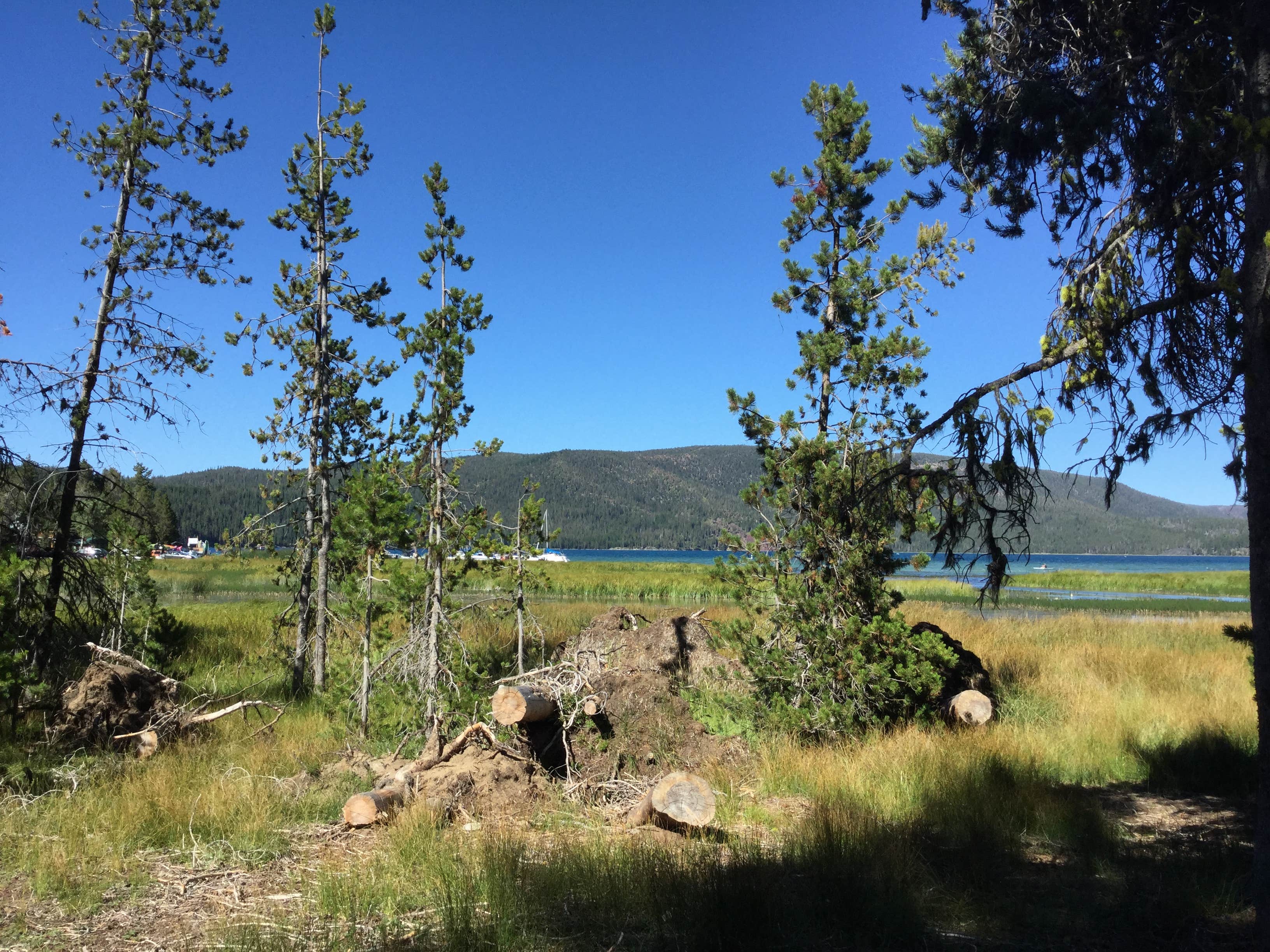 Paulina Lake Campground | The Dyrt