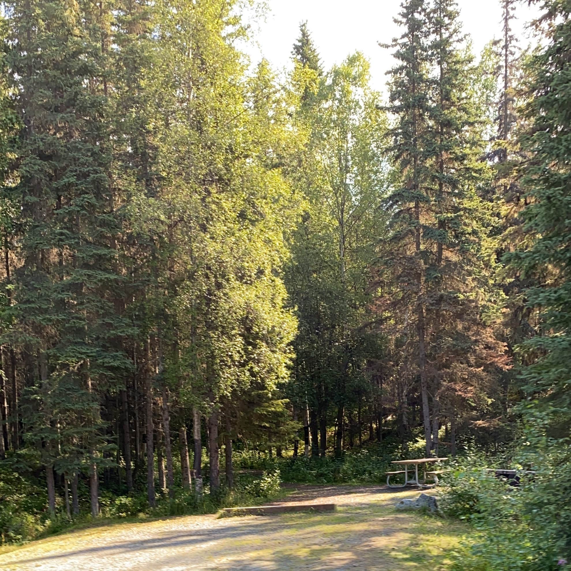 Bings Landing State Rec Area Camping | The Dyrt