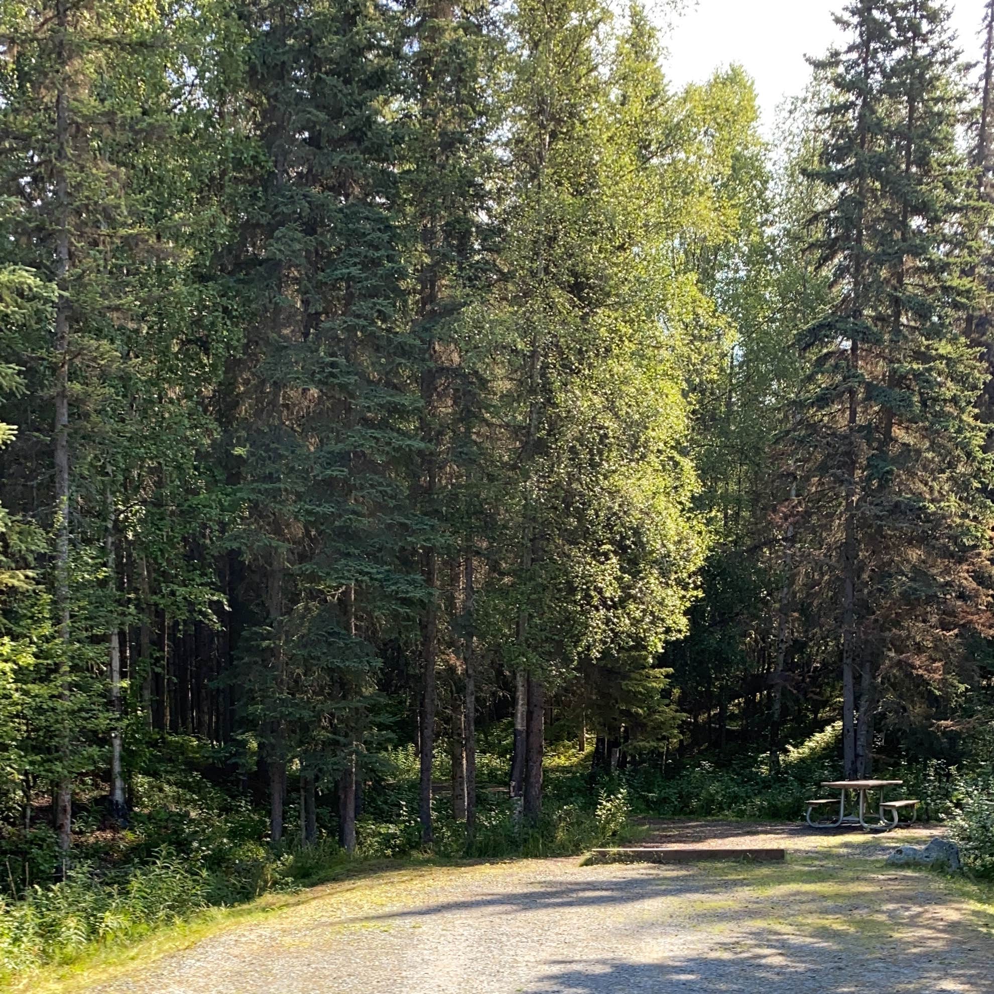 Bings Landing State Rec Area Camping | The Dyrt