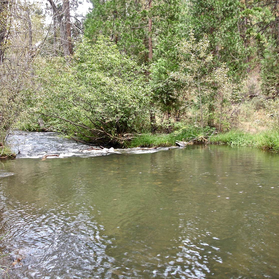 Chilcoot Family Campground Camping | The Dyrt