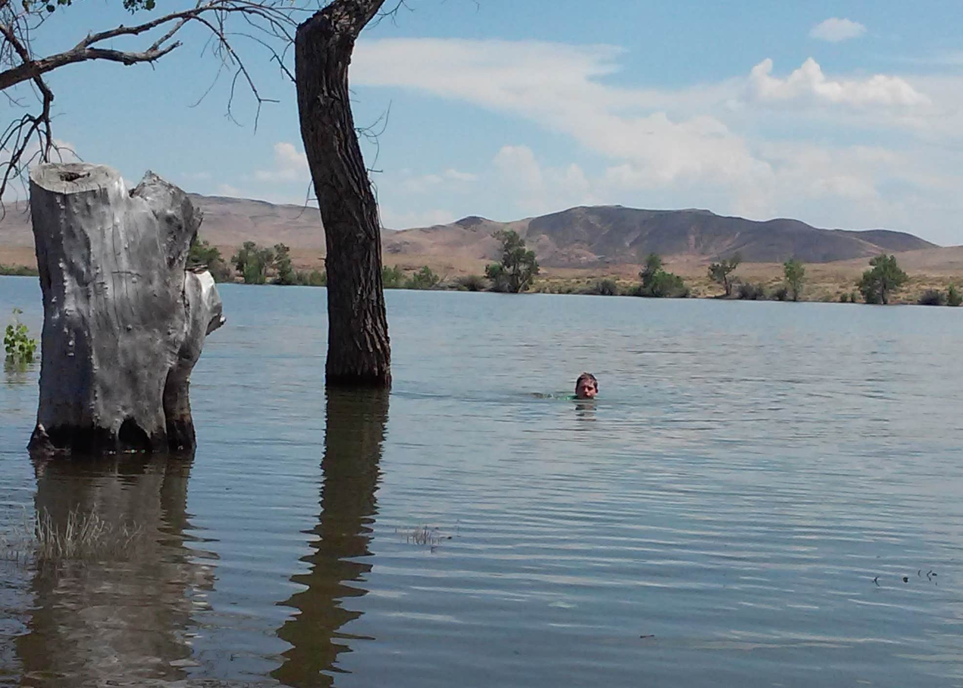 Lahontan Reservoir State Rec Area 2 Camping | The Dyrt