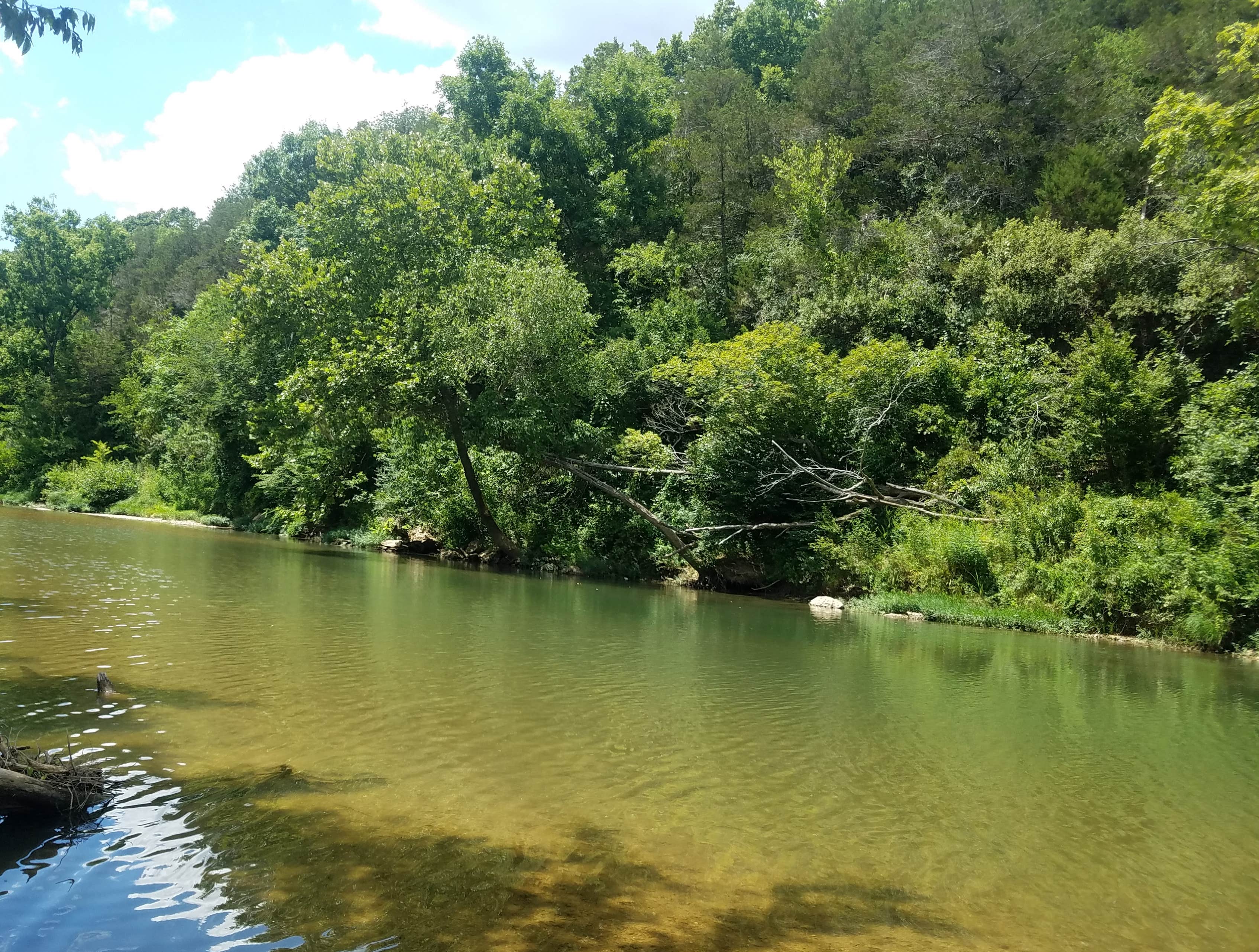 Large Bell Tent on the Kings River Camping | Berryville, AR
