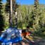 Badger Lake Campground Camping | The Dyrt
